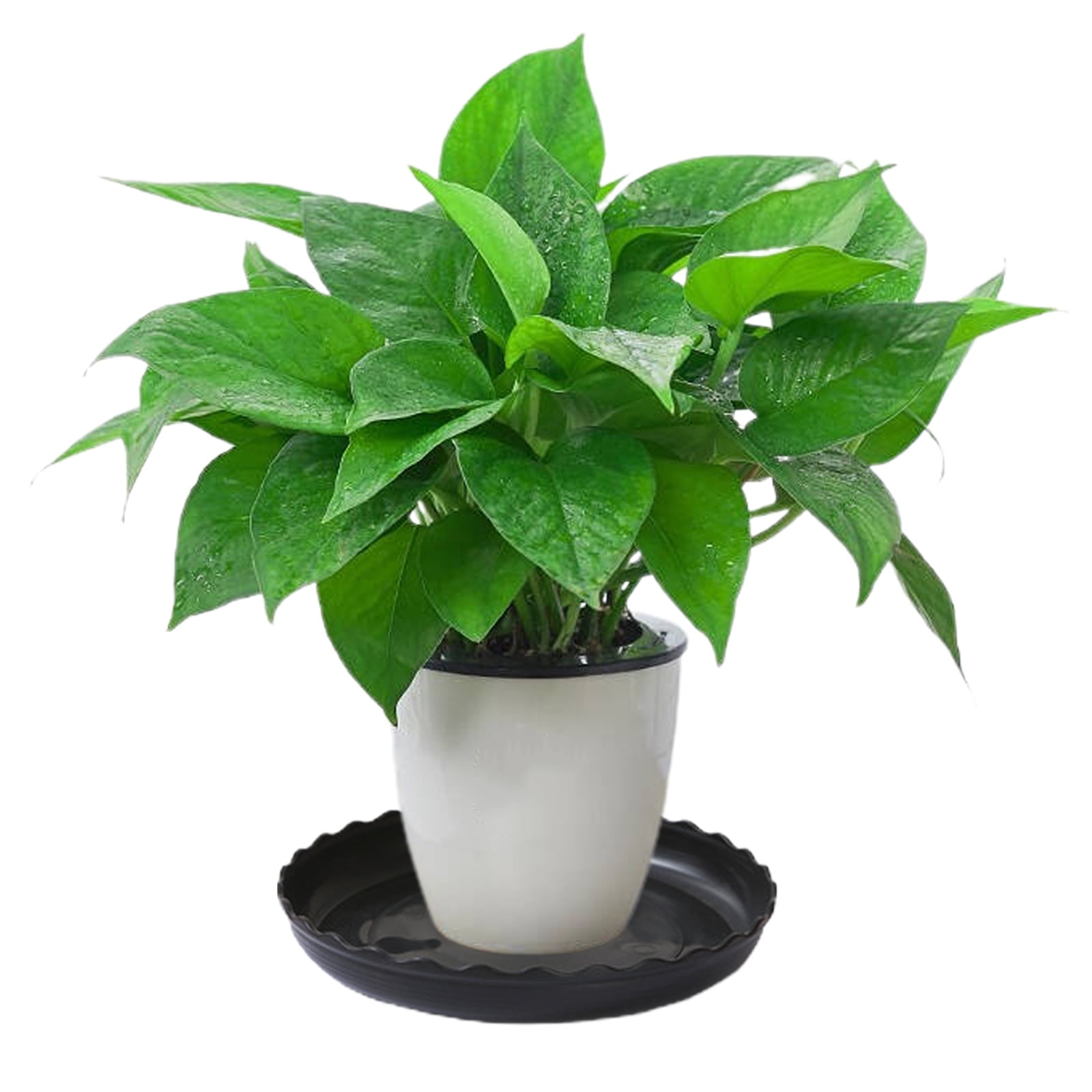 ACDANC Flower Pot Drip Trays 10 Inch Mobile Chassis Base Plant Saucer ...