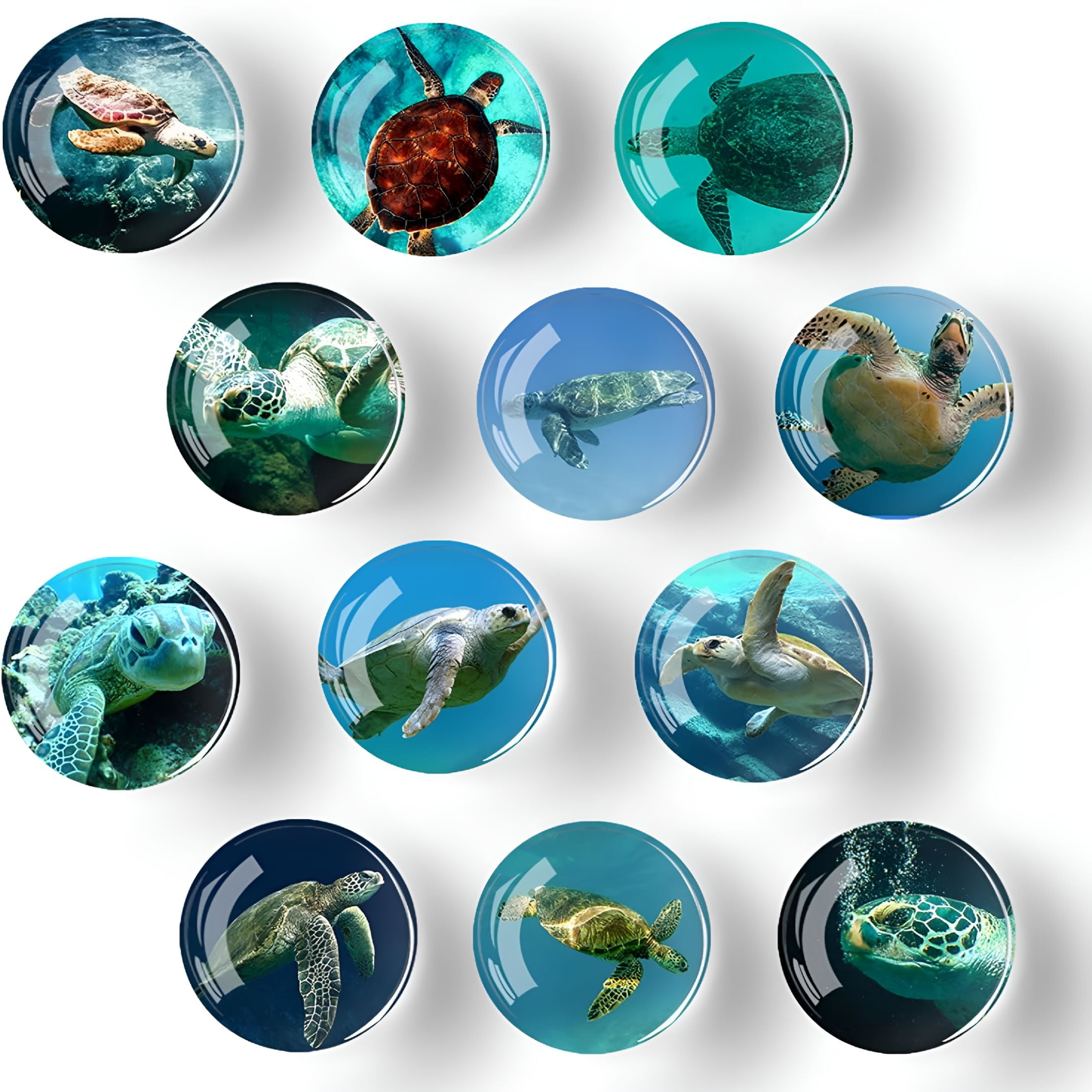 ACDANC Fridge Magnets for Adults 12 Pcs Decorative Glass Refrigerator ...