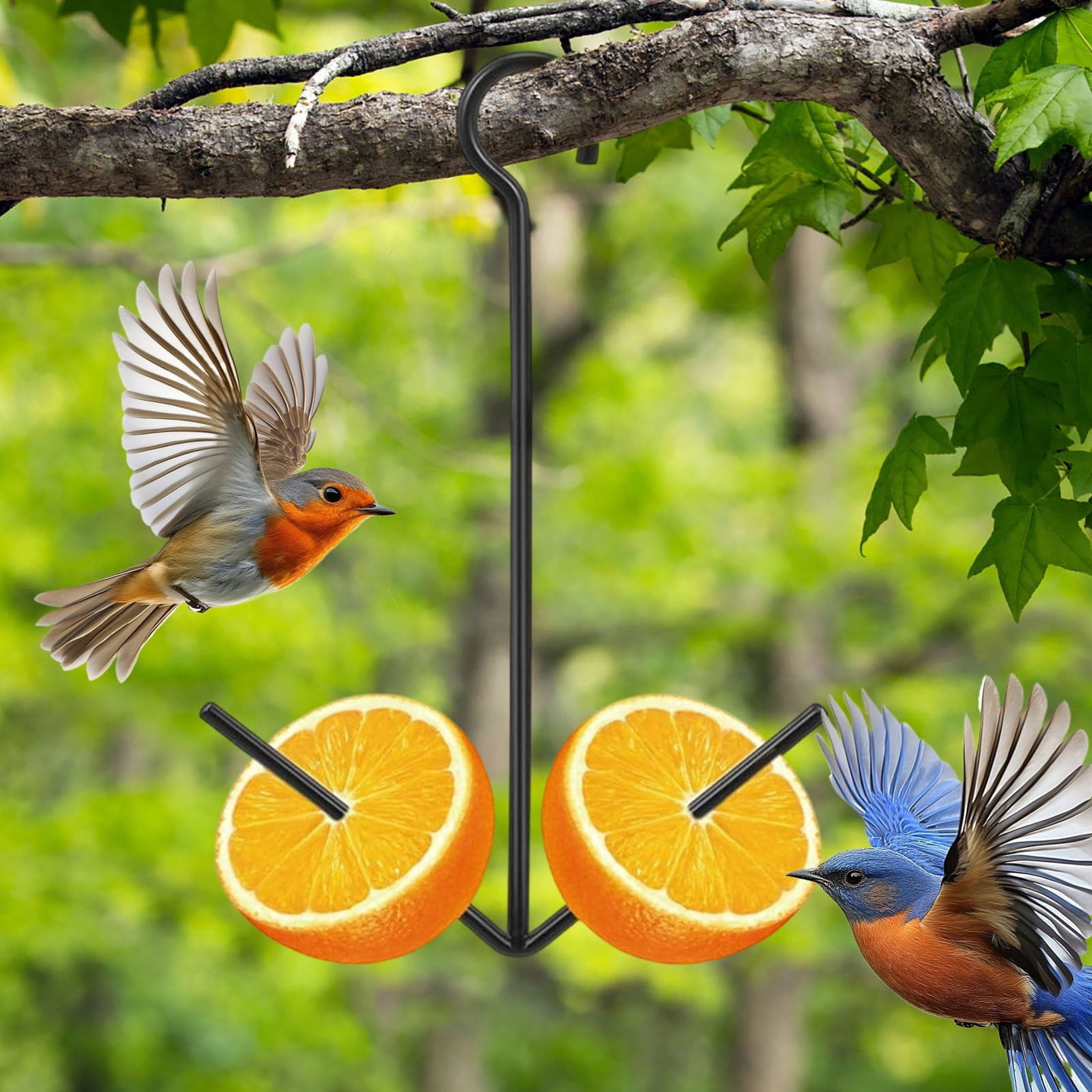 ACDANC Fruit Bird Feeder,Hanging Orange Fruit Bird Feeder,Sturdy Hook ...
