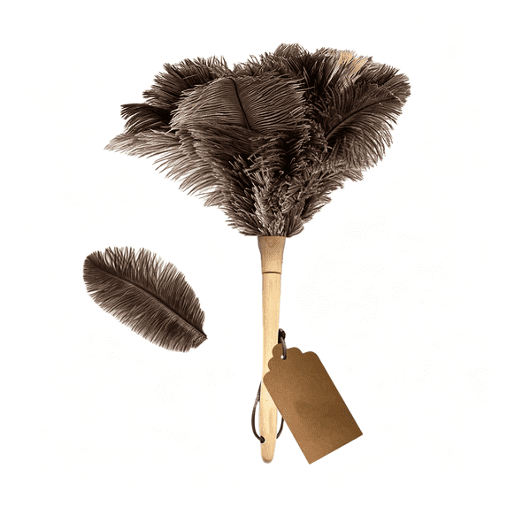 ACDANC Ostrich Feather Duster for Cleaning-Furniture Dusters with ...