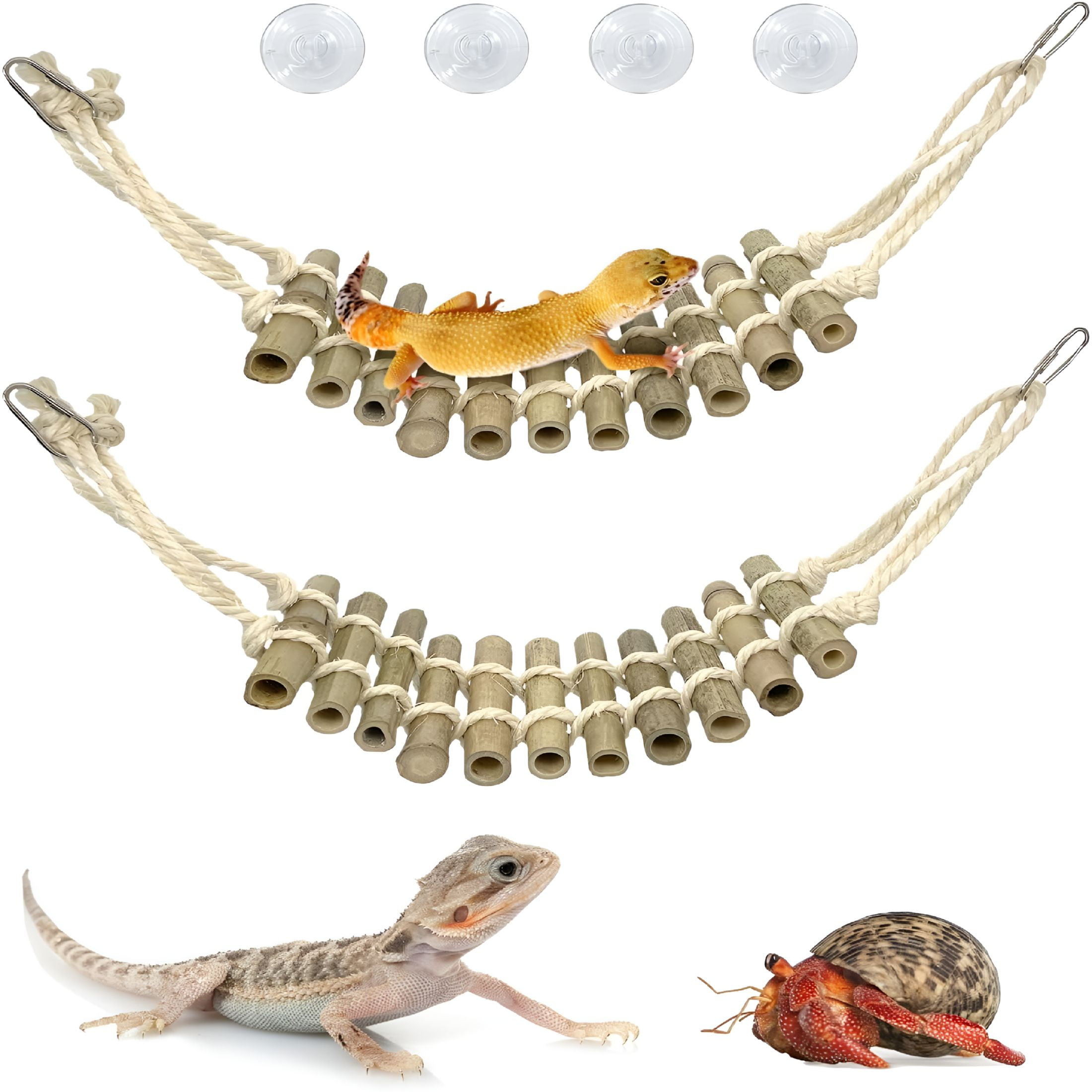 ACDANC Reptile Bridge for Terrarium 2 Pack Wooden Bearded Dragon ...