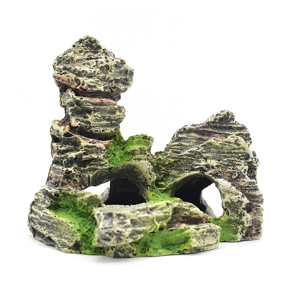Pet Rock