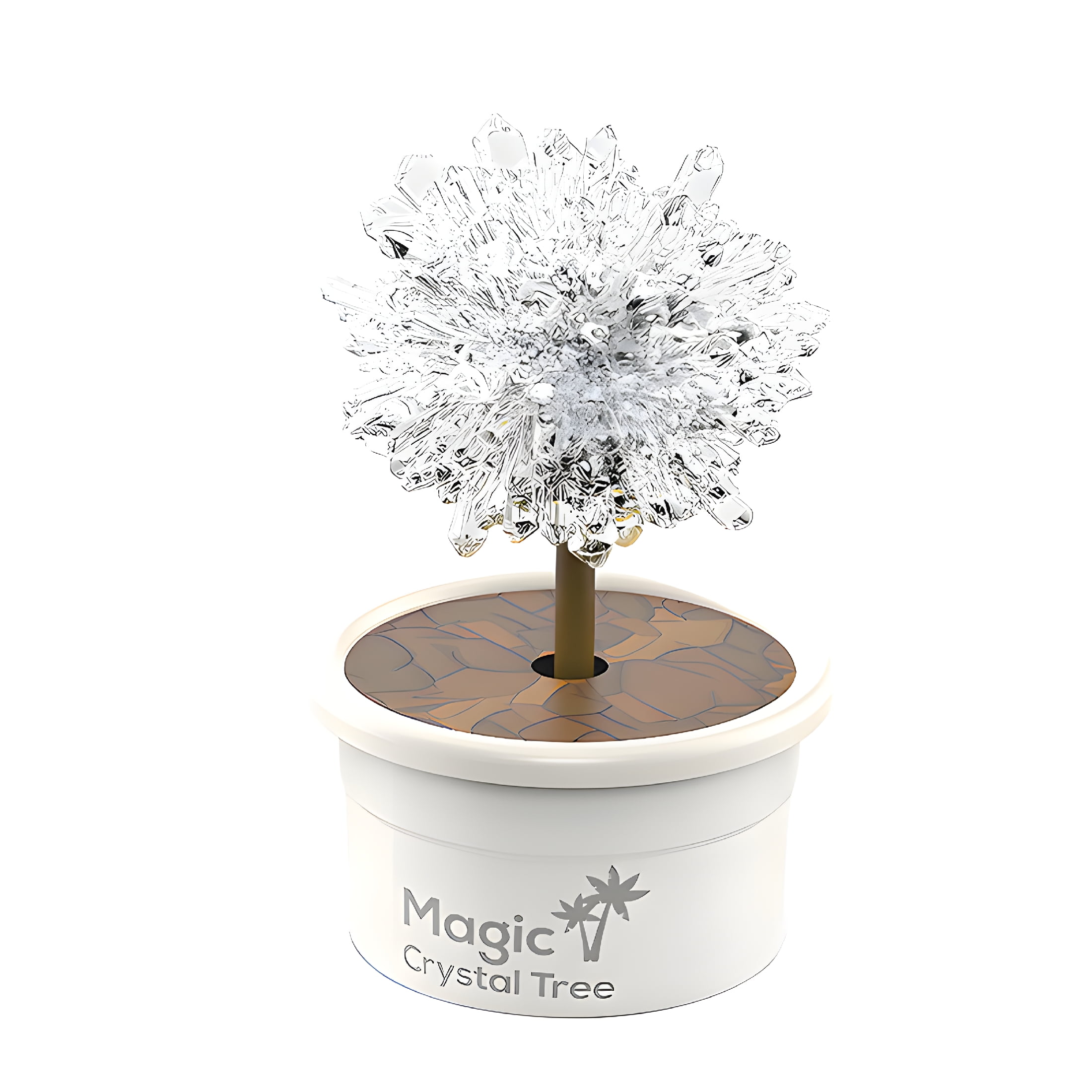 ACDANC Science Kit,Magical Tree Growing Tiny Experiments,Fun ...