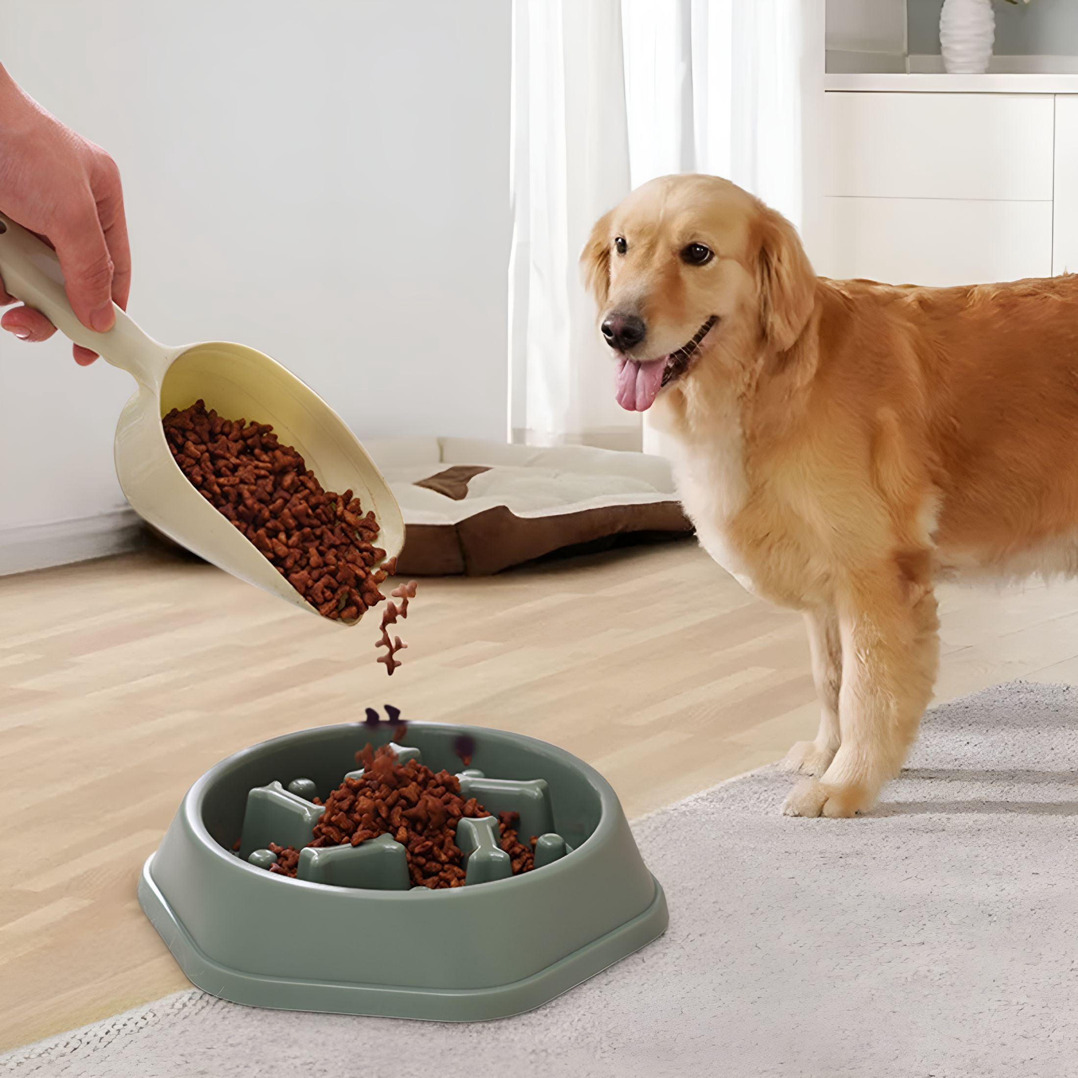 ACDANC Slow Feeder Dog Bowls for Fast Eaters Dog Puzzle Maze Helps Slow ...
