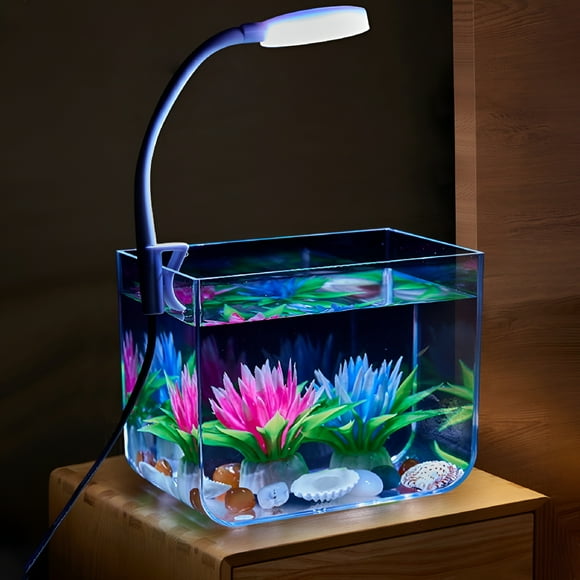 Office Desk Fish Tank