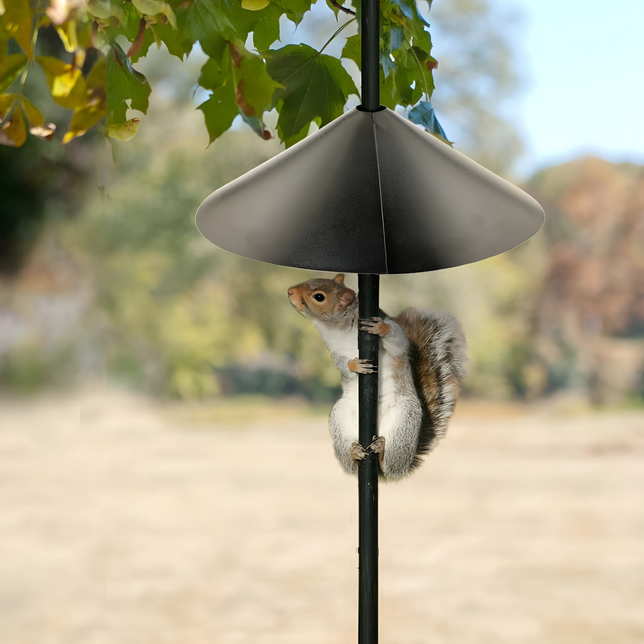 Squirrel Baffle For Shepherd S Hook
