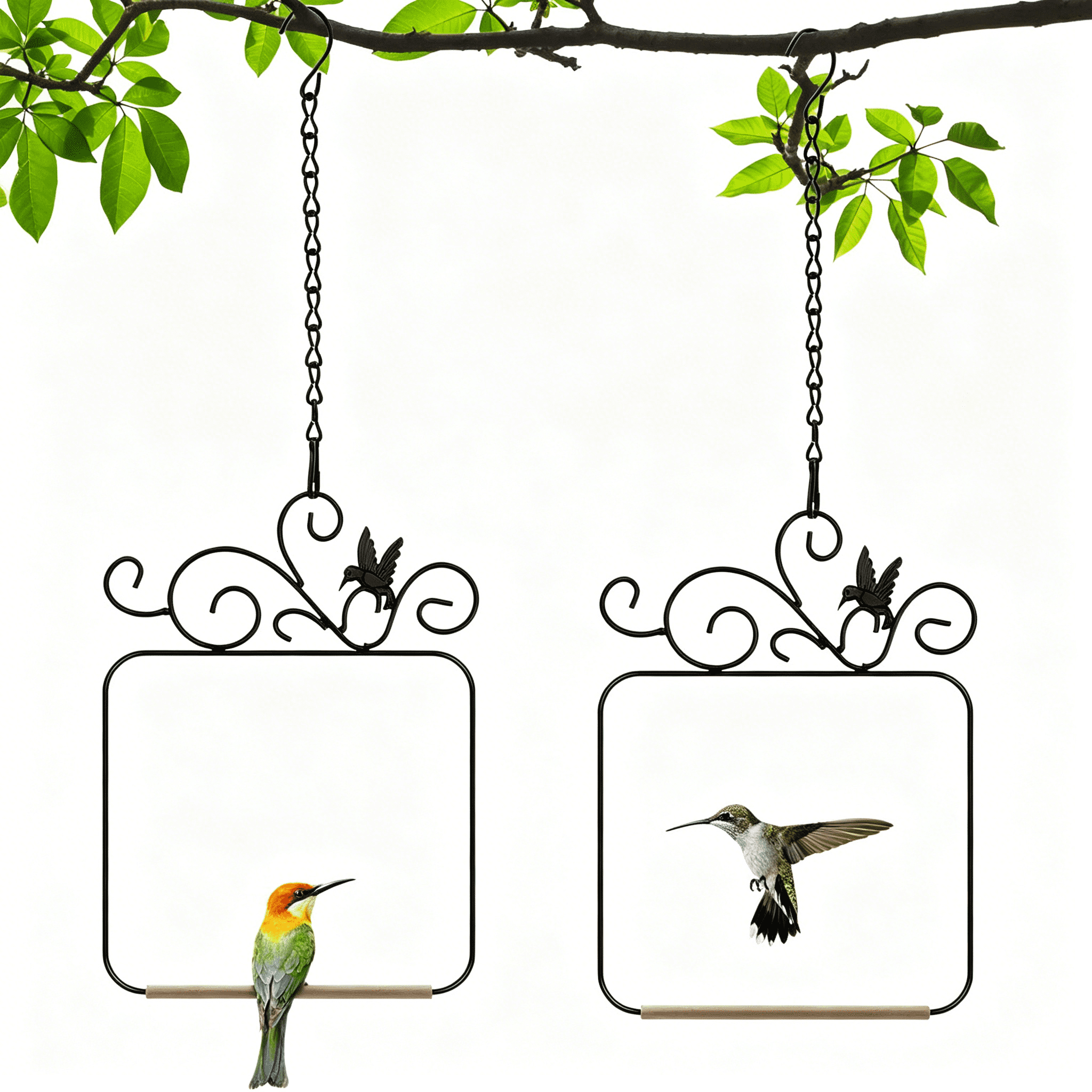ACDANC Swings and Perches Metal Frame 2 Pack,Wild Bird Swing Outdoor ...