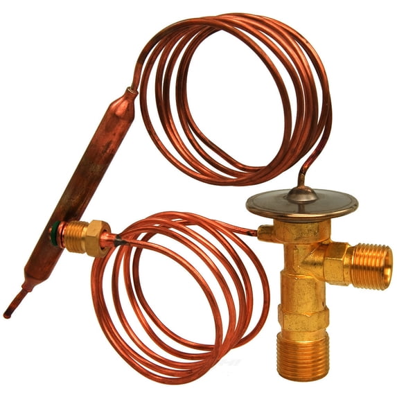 ACDelco 15-5774 A/C Expansion Valve Fits 1969 Chevrolet Camaro ...