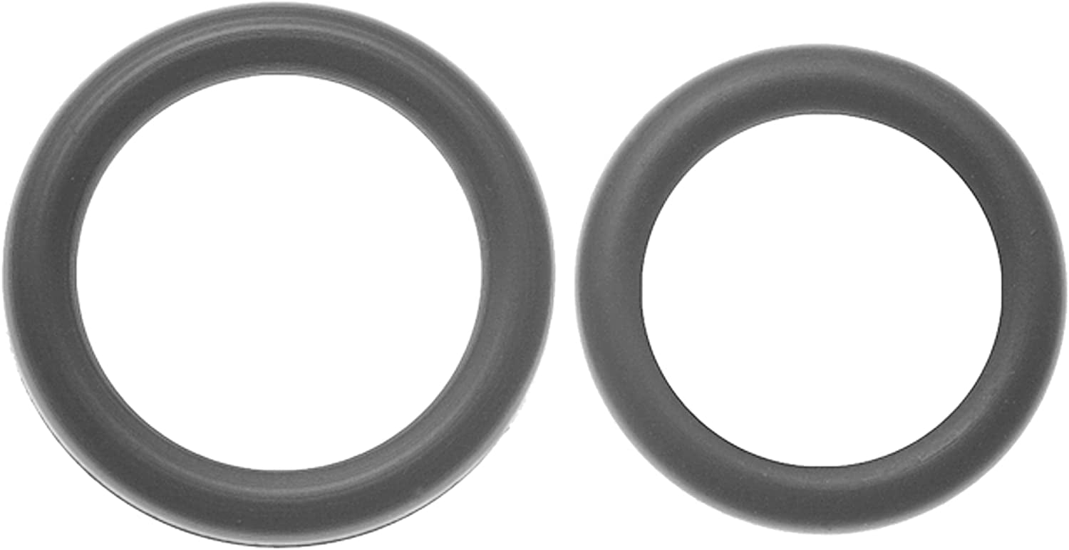 ACDelco GM Original Equipment Fuel Injection Fuel Rail O-Ring Kit with ...