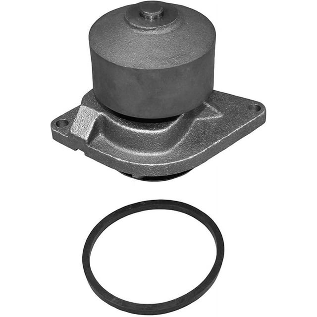 Free Shipping! ACDelco Professional 252-318 Water Pump Kit Fits 2006 ...