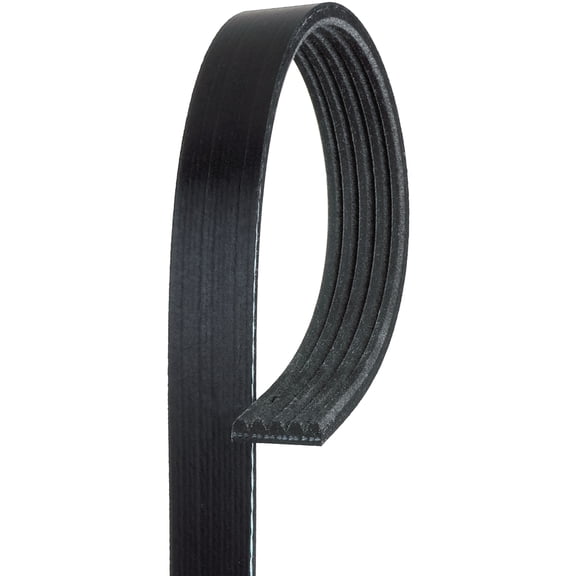 Toyota 4runner Serpentine Belt