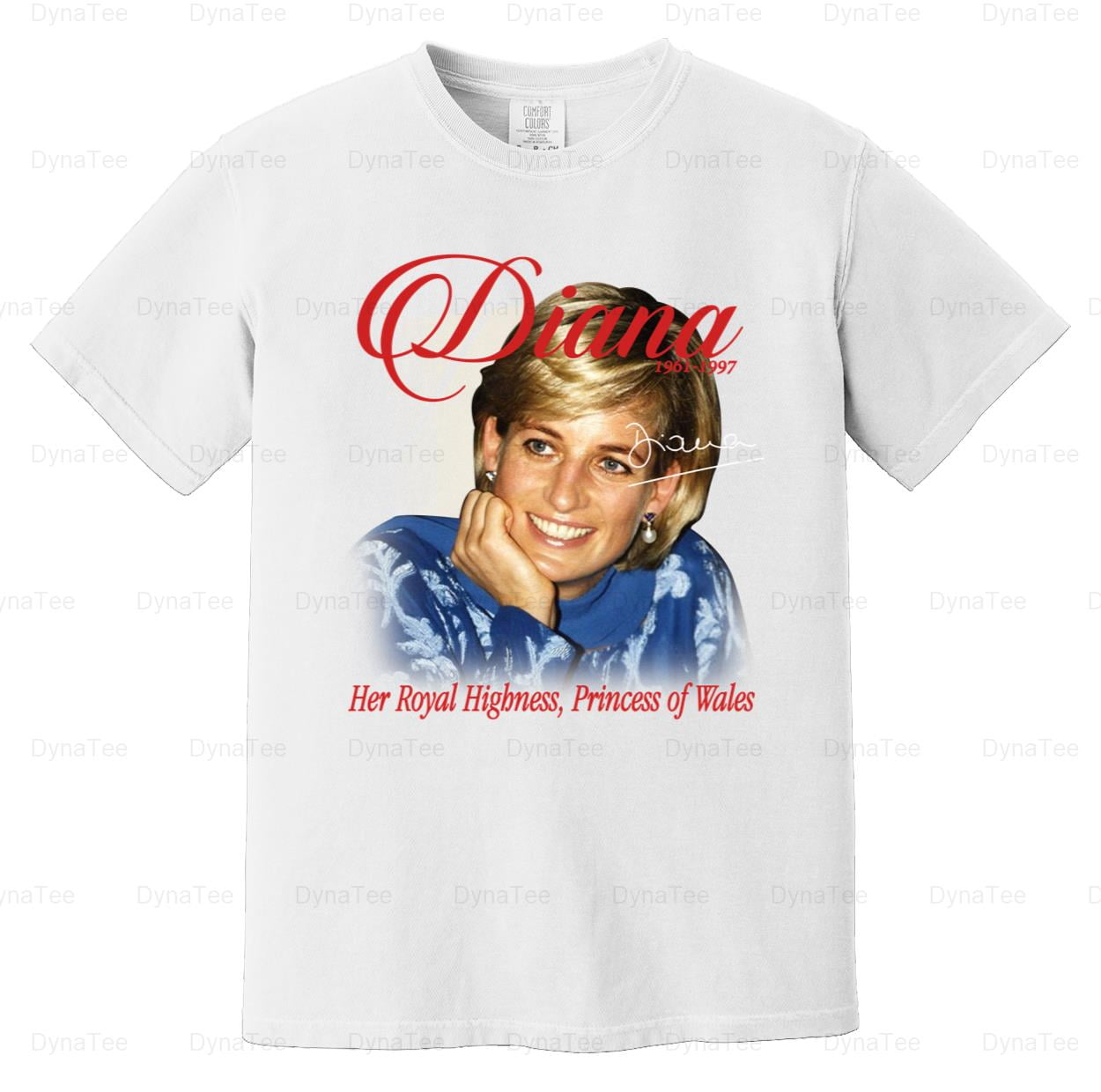 ACID WASHED RIPPED Diana Princess Distressed Vintage Royal Style ...