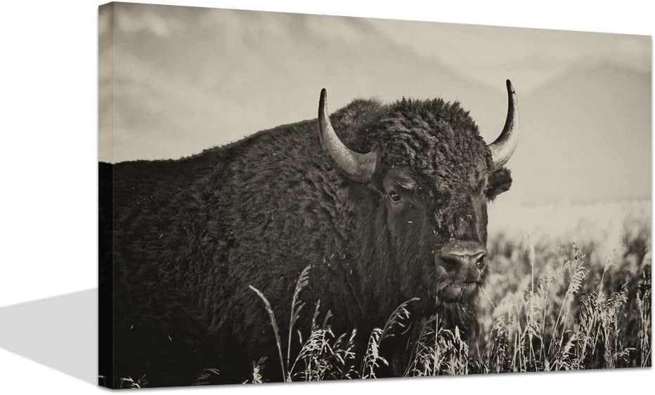 ADALE - Animal Canvas Wall Art American Buffalo Portrait Painting on ...