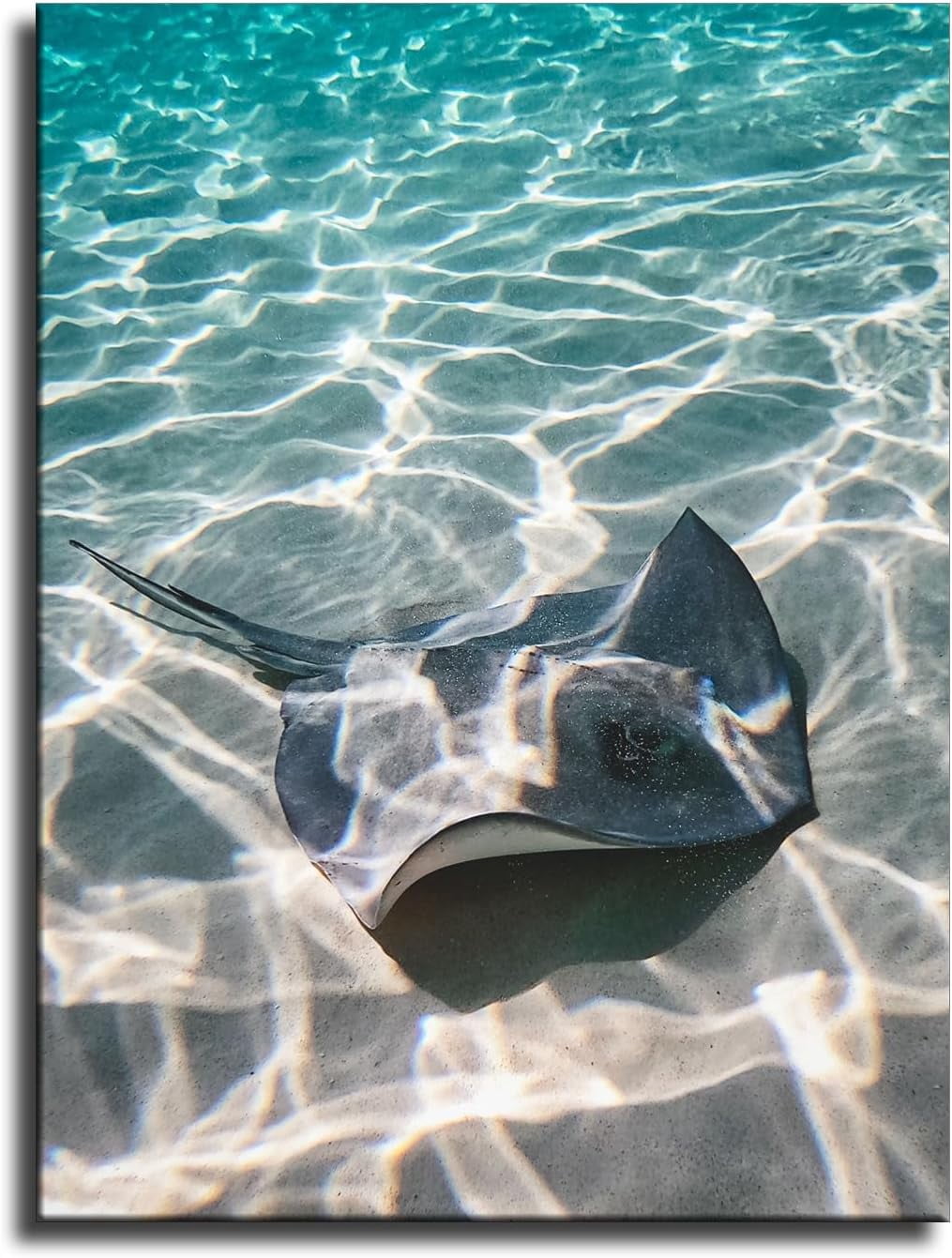 ADALE Animal Stingray Swimming The Ocean Floor Poster Canvas Wall Art ...
