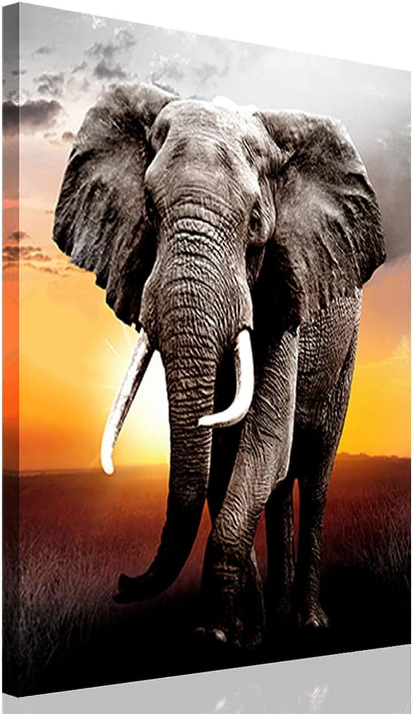ADALE Animal Wall Art Pictures for Living Room Decor Walking Elephant ...