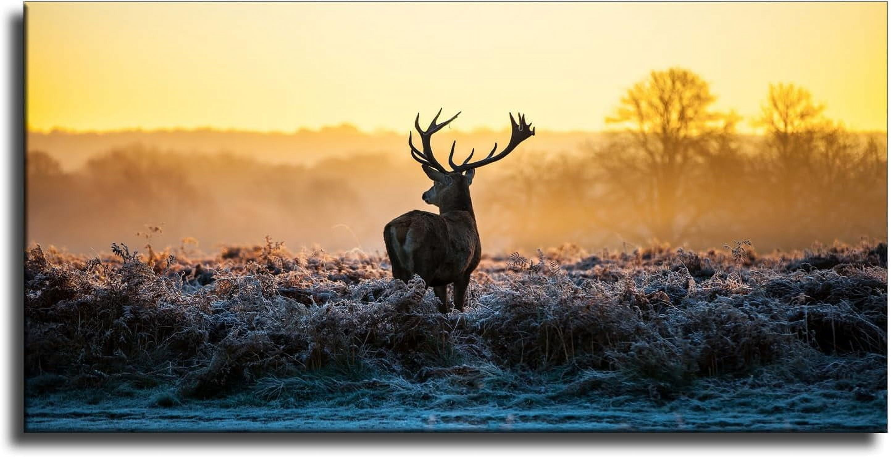 ADALE Animals Deer Sunrise Sunset Poster Canvas Wall Art Home Wall ...