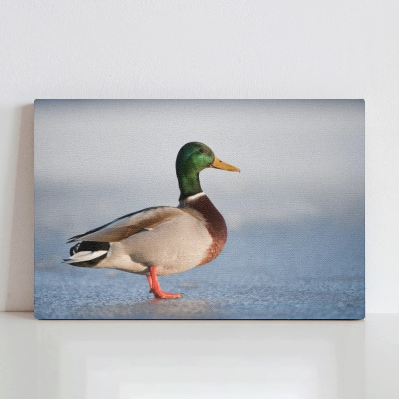 ADALE Beautiful Mallard Duck Fun Animal Wall Art Poster Wall Art Painting Canvas Decor Modern ...