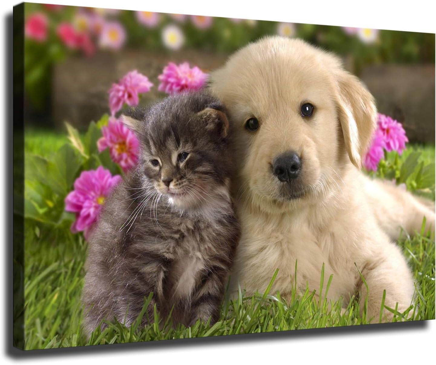 ADALE Best Friends Cat and Dog Kitten Puppy Cute Animals Poster Canvas ...