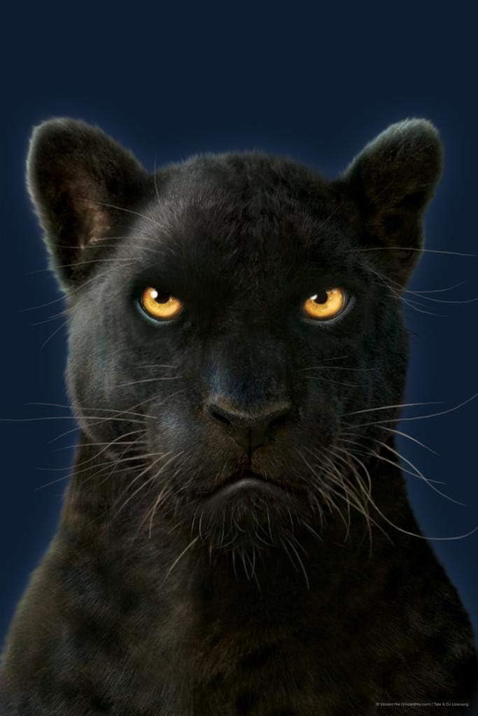 ADALE Black Panther by Vincent Hie Panther Pictures Wall Decor Jungle ...