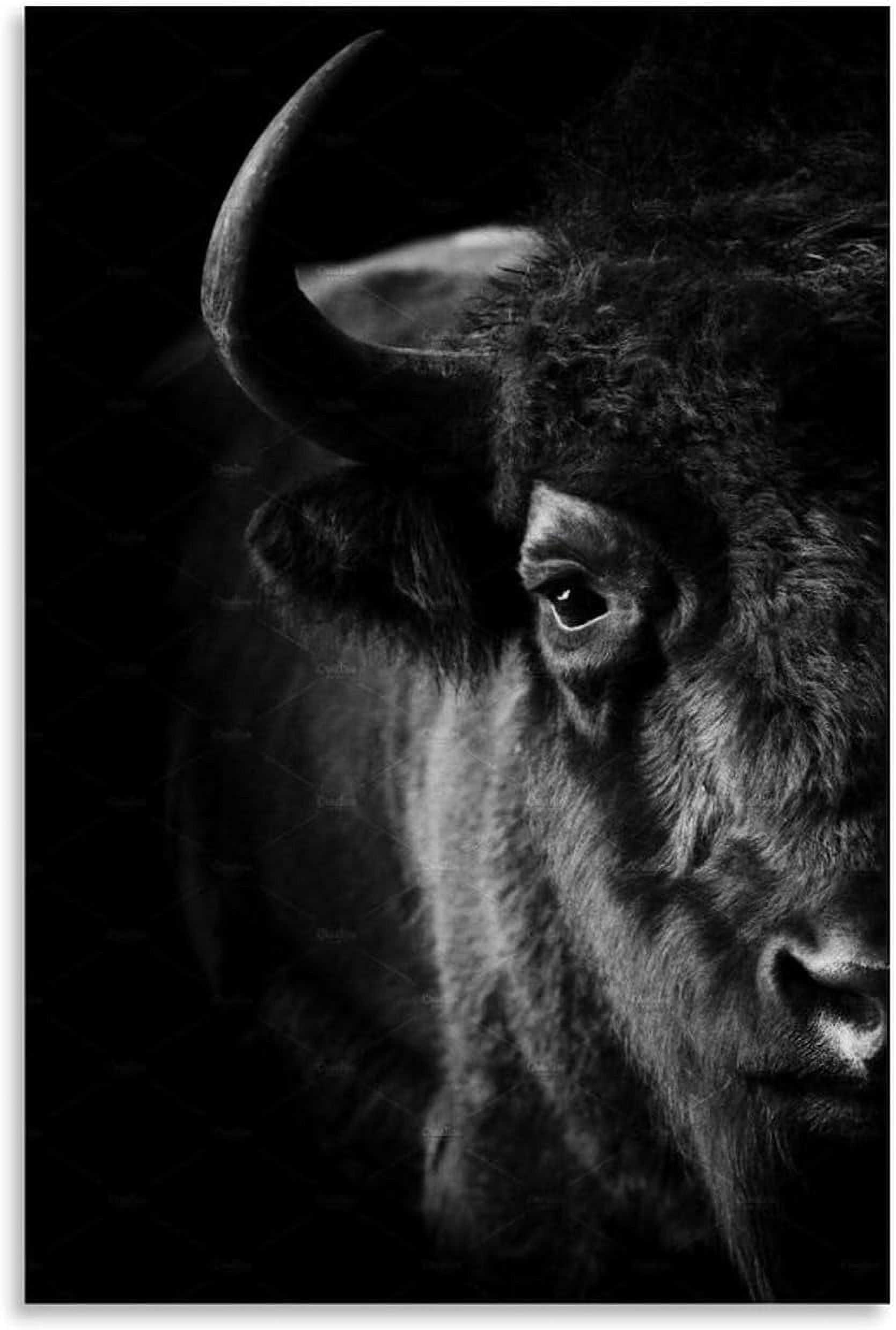 ADALE Black And White Animal Wildlife Bull Bison Portrait Photography ...