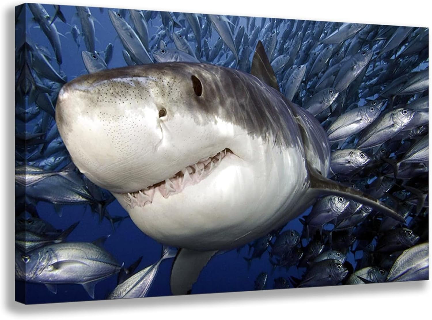 ADALE Blue Ocean Wall Art Great White Shark Catching Fish Pictures ...