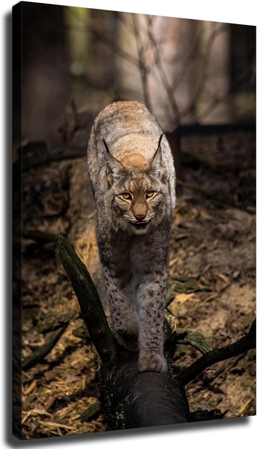ADALE Bobcat Wildcat Poster Canvas Wall Art Living Room Wall Art ...
