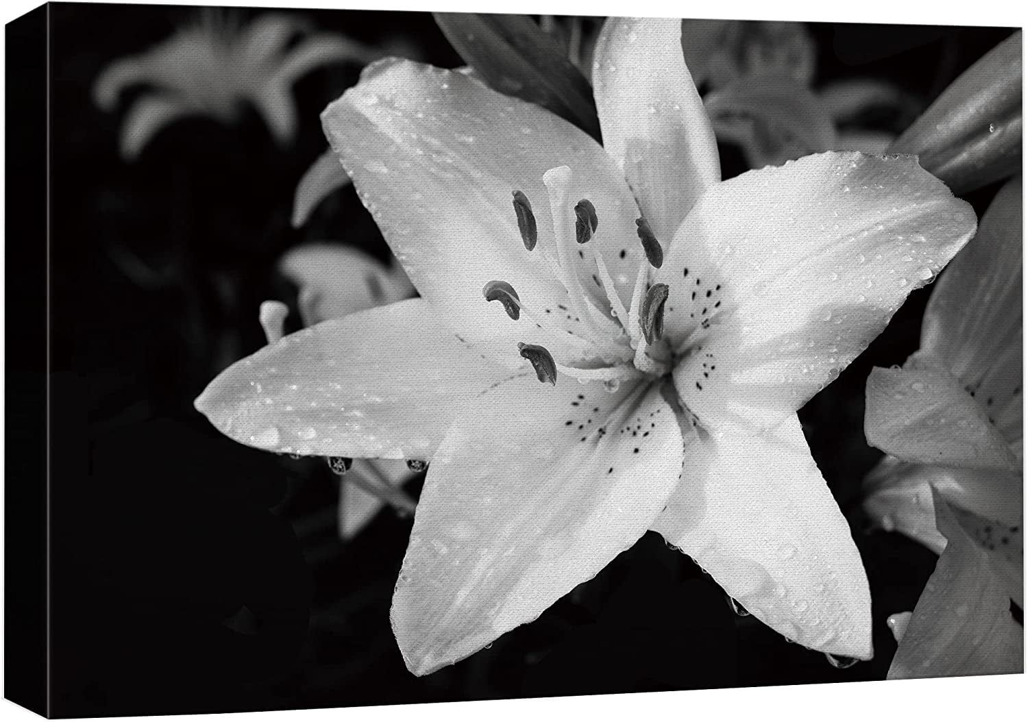 ADALE Canvas Print Wall Art Bouquet of Lily Flowers Floral Plants ...