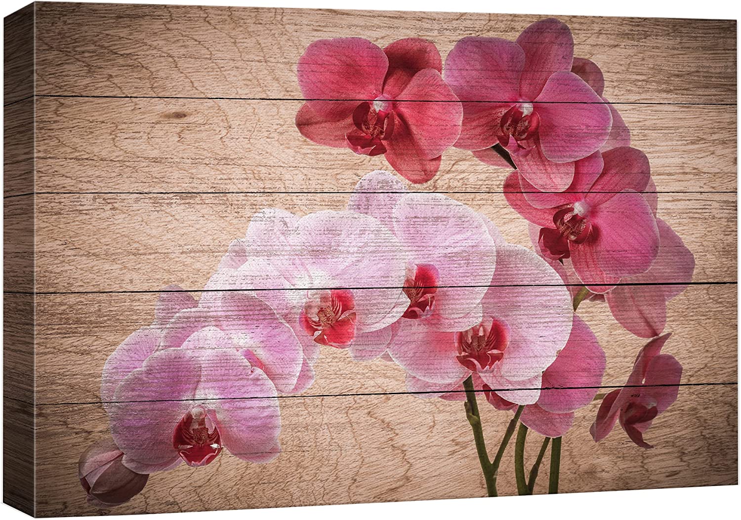 ADALE Canvas Print Wall Art Galloping White, Brown & Black Horses Animals Wildlife Wood Panels ...