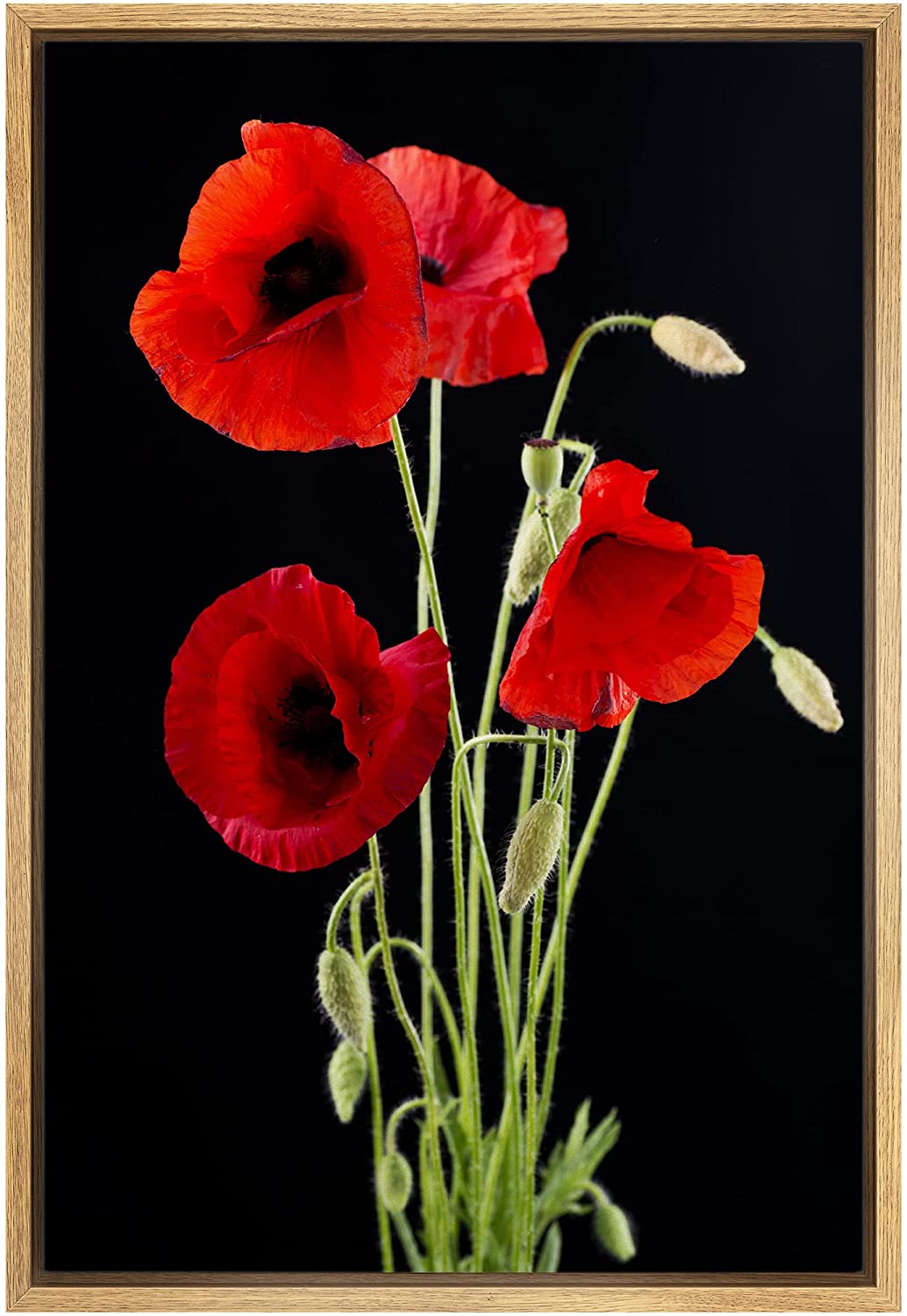 ADALE Canvas Print Wall Art Hummingbird Flies On White Carnation Flower ...