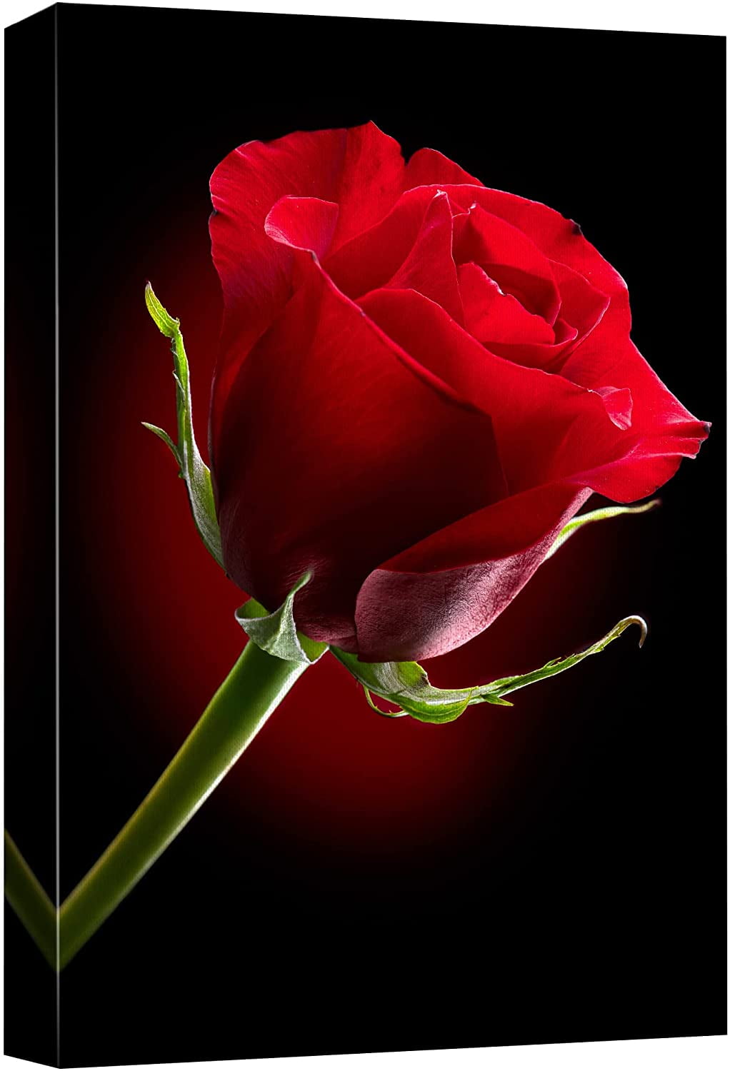 ADALE Canvas Print Wall Art Hummingbird Flies On White Carnation Flower ...