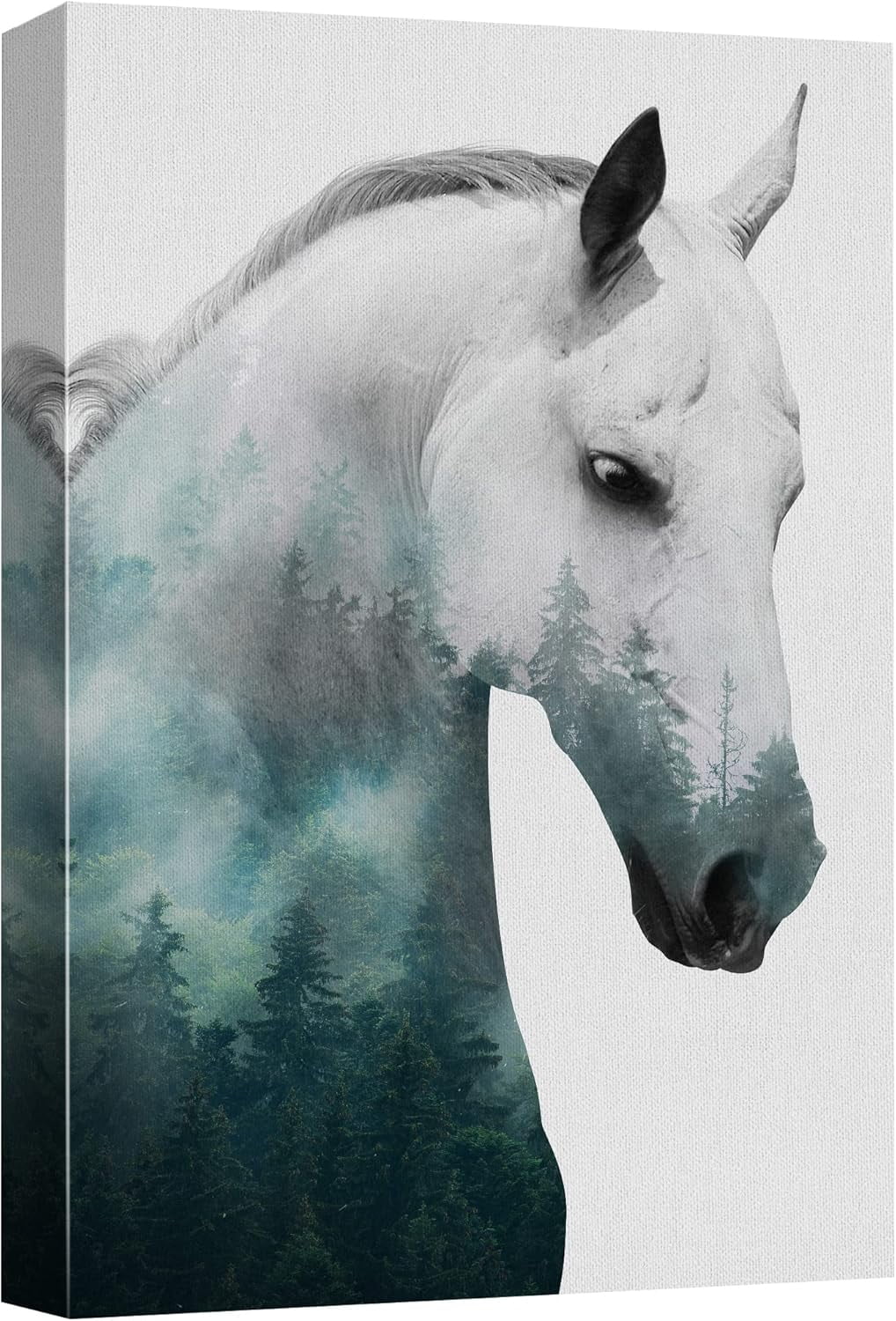 ADALE Canvas Print Wall Art Paint Splatter Galloping Wild Horse Animals ...