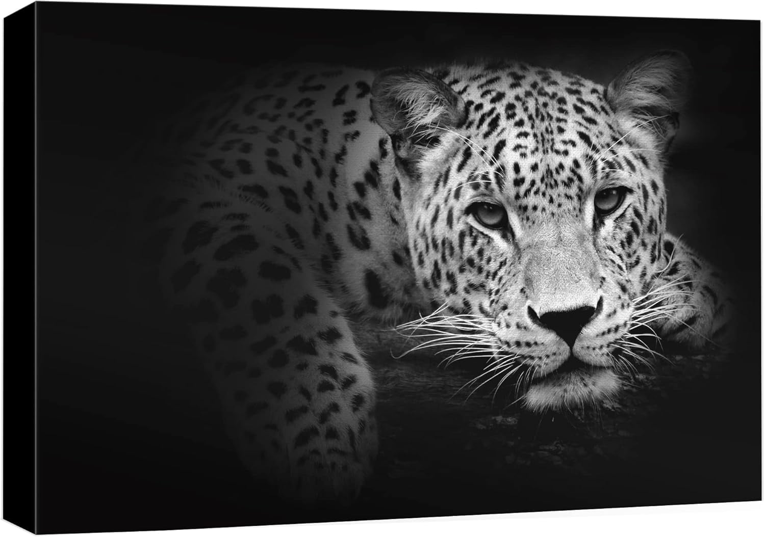 ADALE Canvas Print Wall Art Rhinoceros Portrait on Graphite Background ...