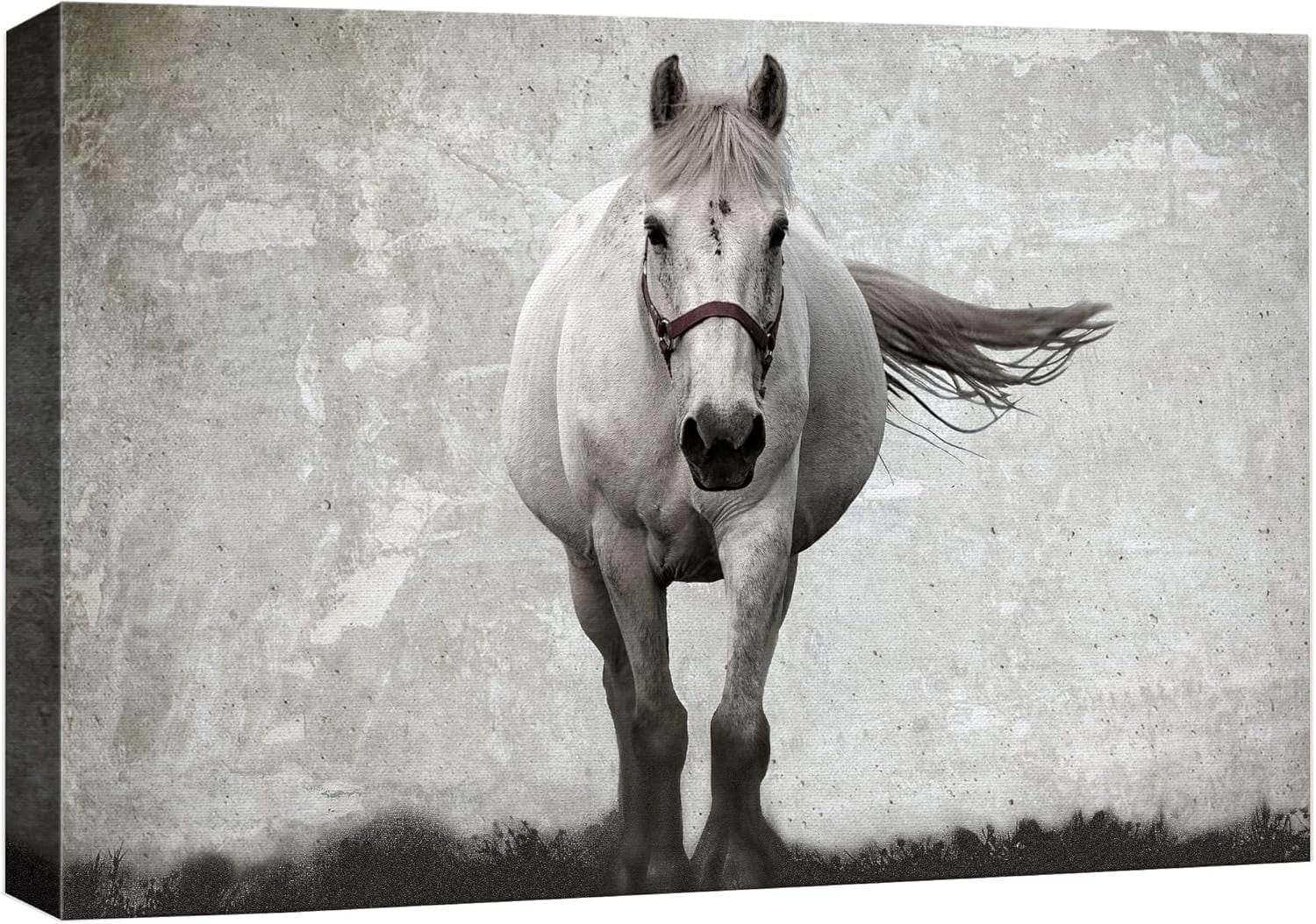 ADALE Canvas Print Wall Art Rhinoceros Portrait on Graphite Background ...