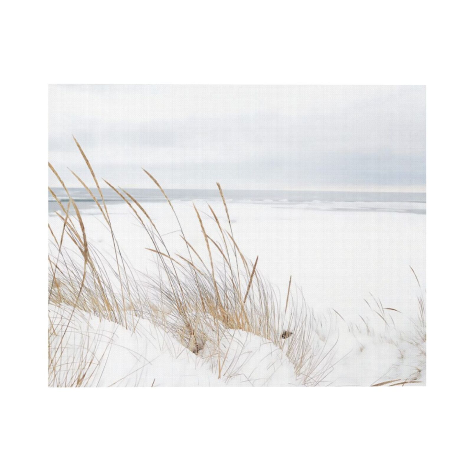 ADALE Canvas Print Wall Art Snow and Plants on Beach Shore Nature ...