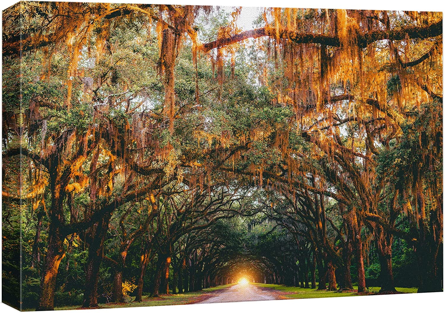 ADALE Canvas Prt Wall Art Autumn Fall Orange Hangg Tree Canopy Nature ...