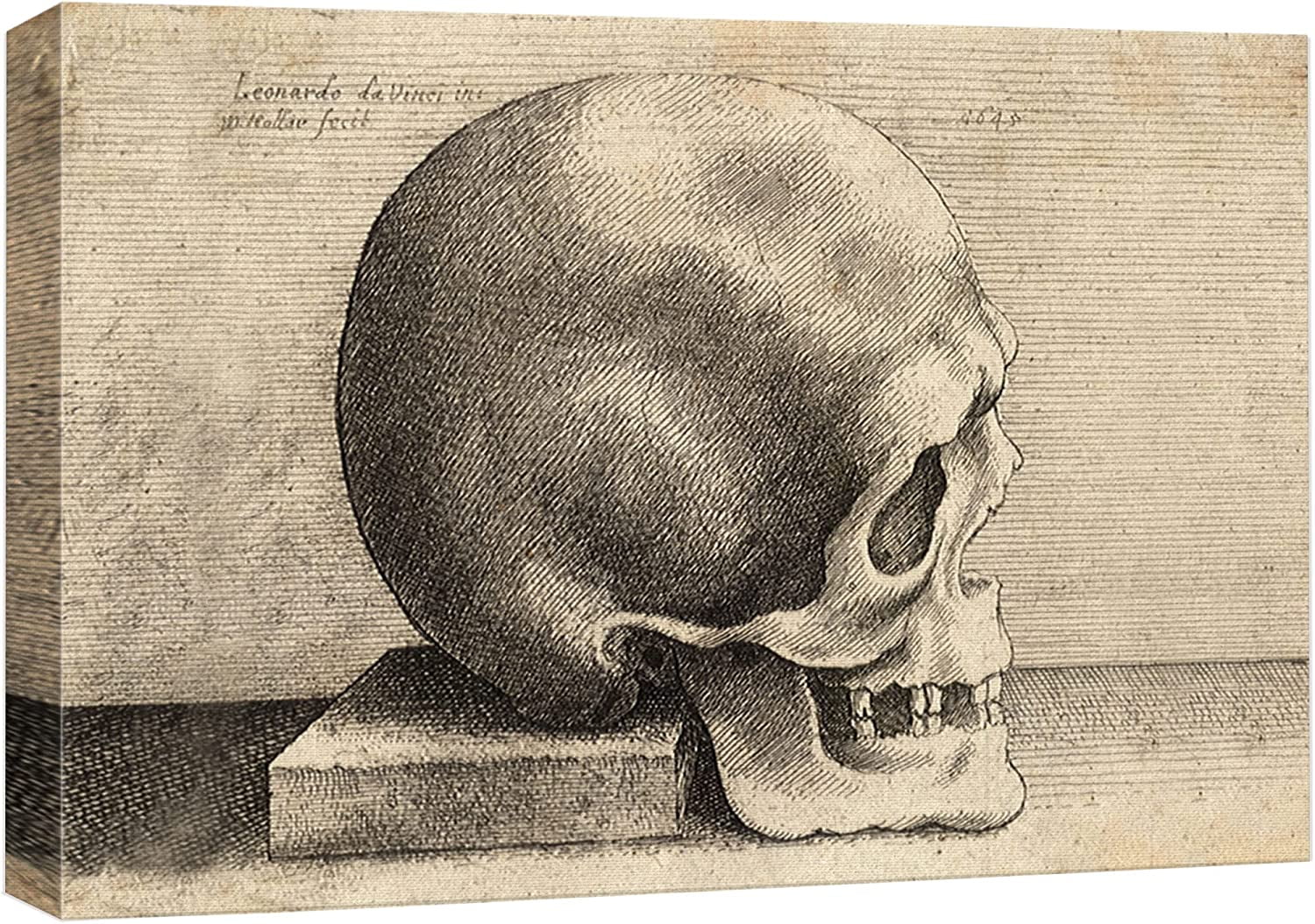 ADALE Canvas Prt Wall Art Right Profile of a Skull by Leonardo da Vci ...