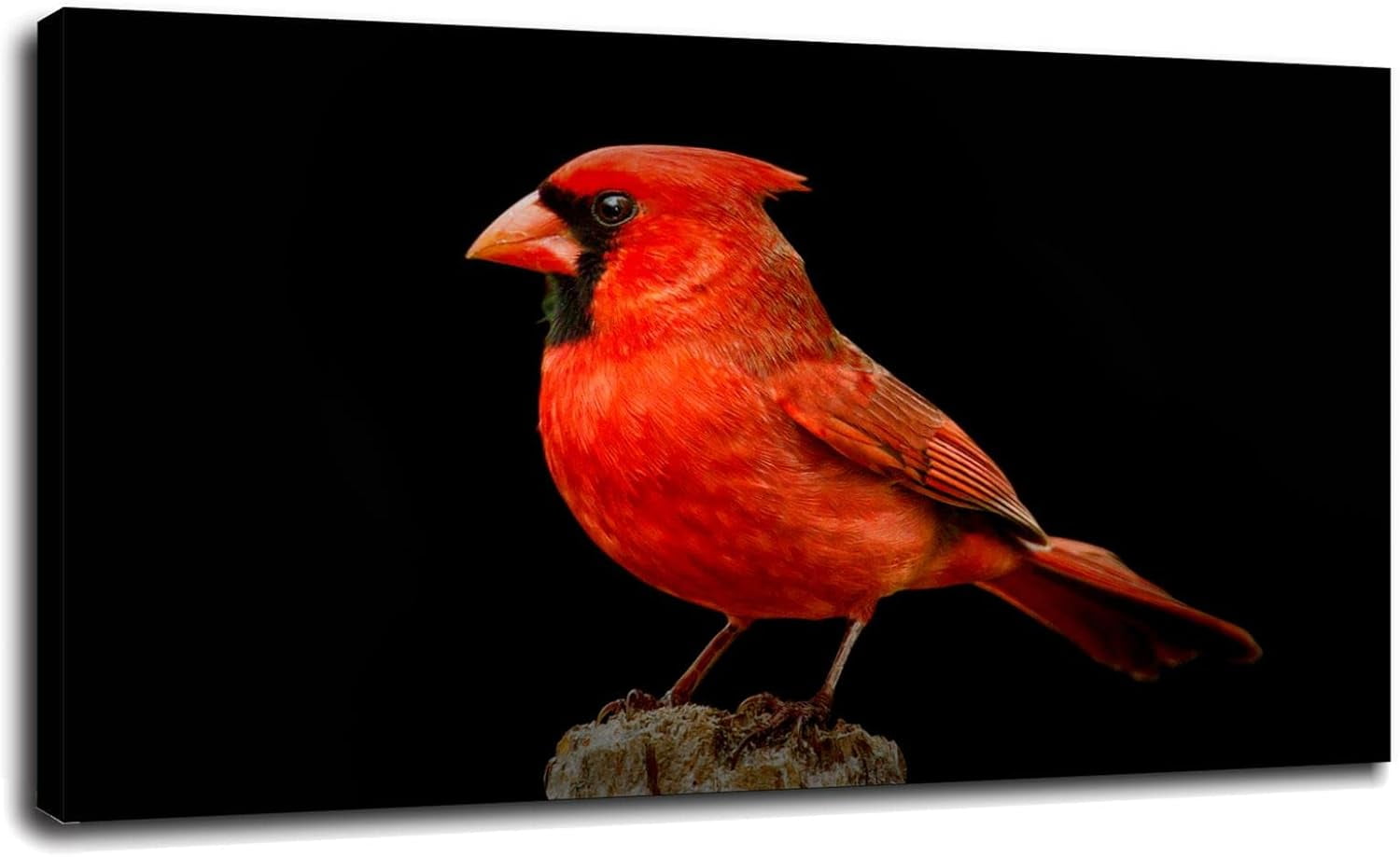 ADALE Canvas Wall Art Cardinal Red Bird Pictures Posters Printing ...