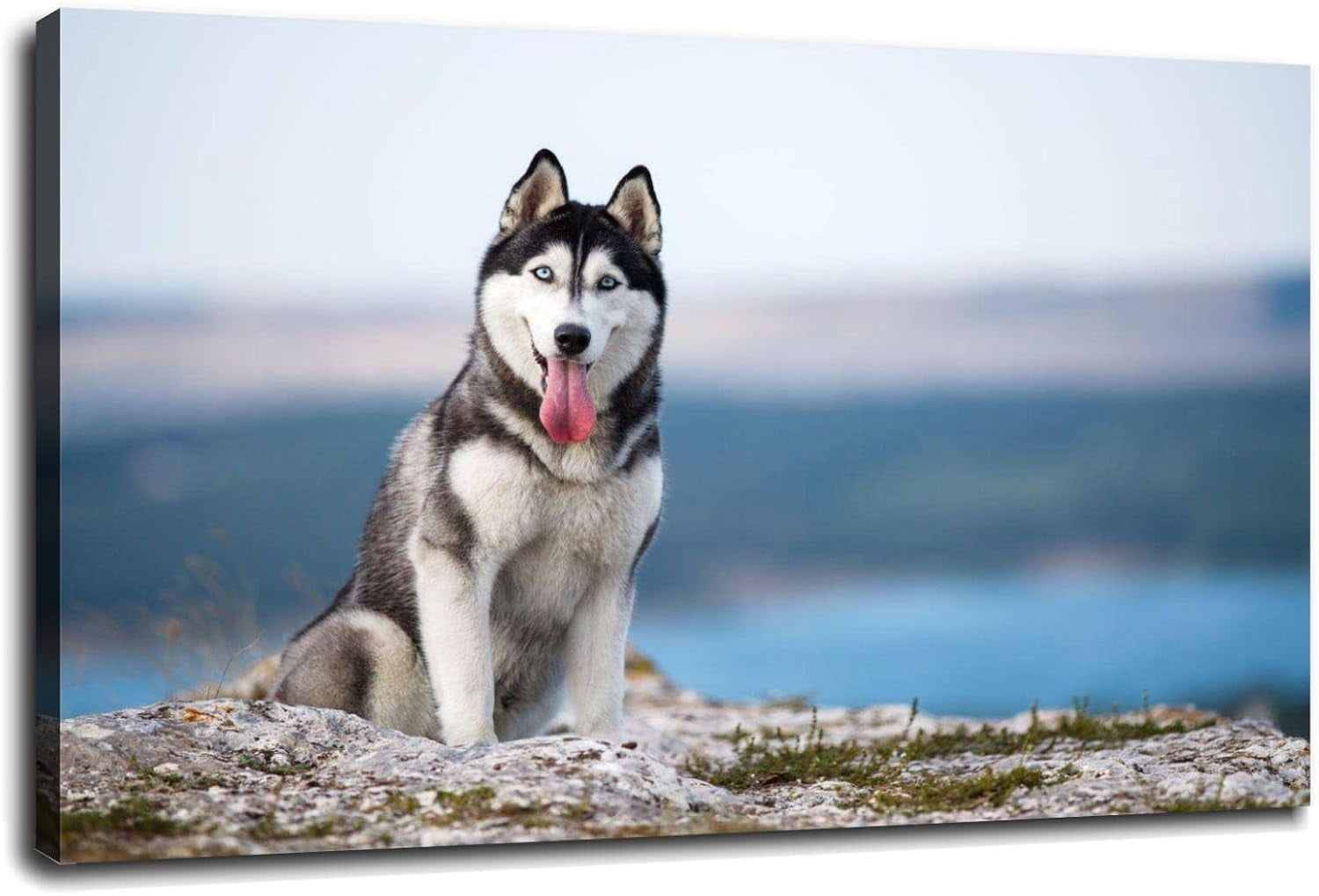 ADALE Canvas Wall Art Decor Husky Dog Pictures Poster Print Animal ...