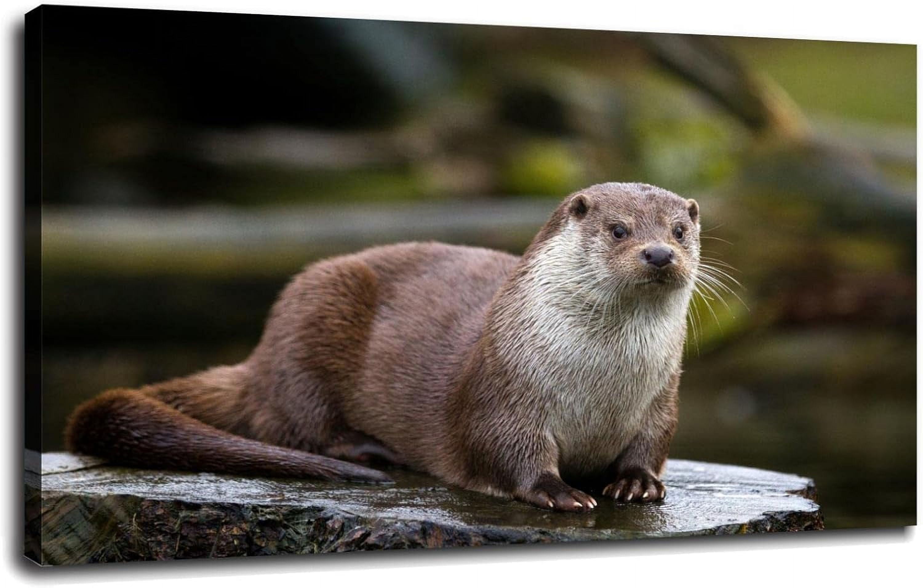 ADALE Canvas Wall Art Otter Pictures Poster Print Animal Prints Wall ...