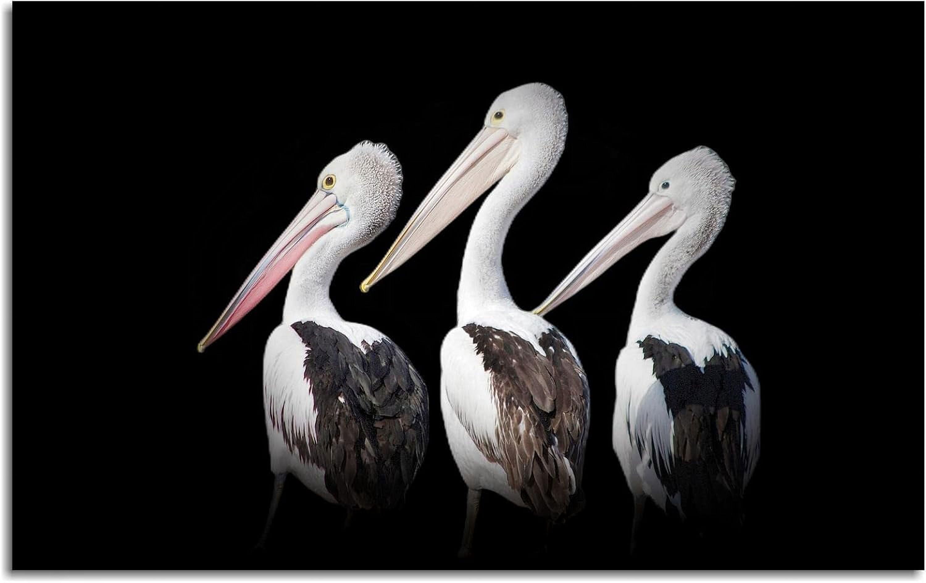 ADALE Canvas Wall Art for Living Room Pelican Birds Pictures Posters ...