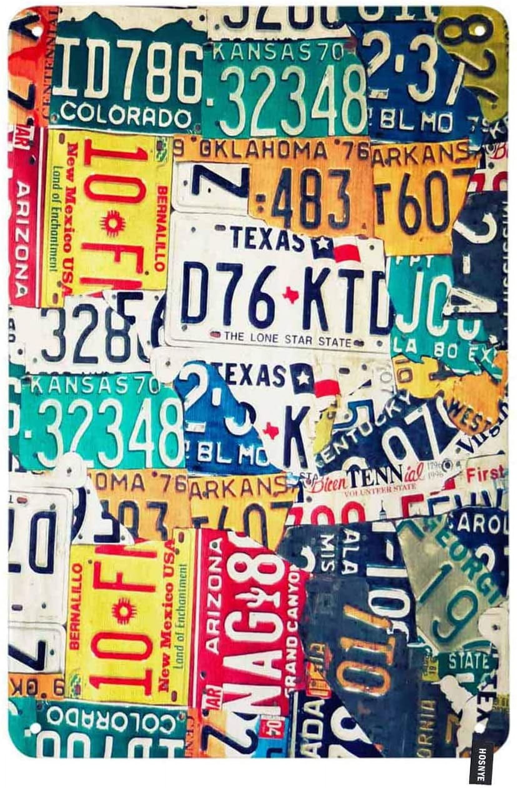 ADALE Car License Plates Tin Sign Rustic Colorful Kinds of Drive ...