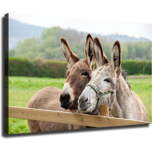 ADALE Country Animals Two Donkeys Poster Canvas Print Painting Picture ...