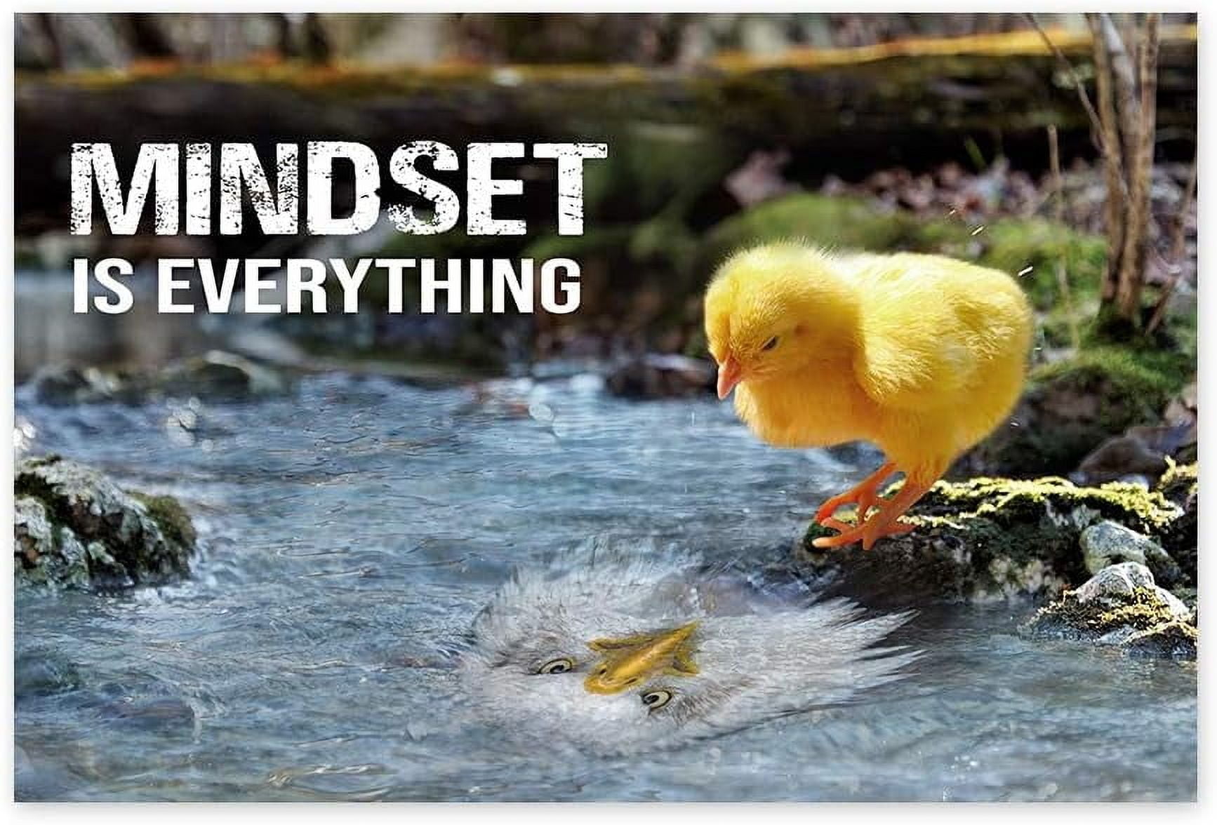 ADALE Cute Fish Illustration Inspirational Poster Mindset is Everything ...