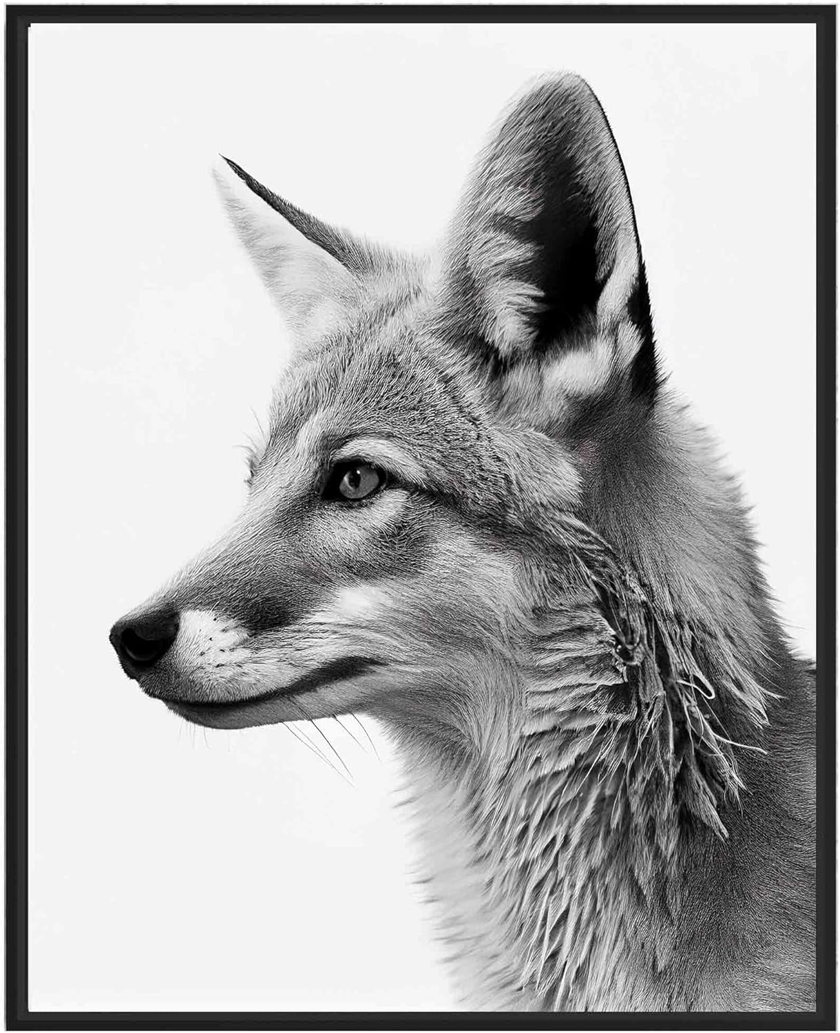 ADALE Deer Art Prints Posters, Black and White Photography Wall Art ...
