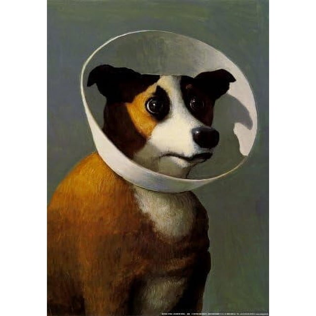 ADALE Dog with Cone by Michael Sowa 17"x24" Art Print Poster Unframed ...