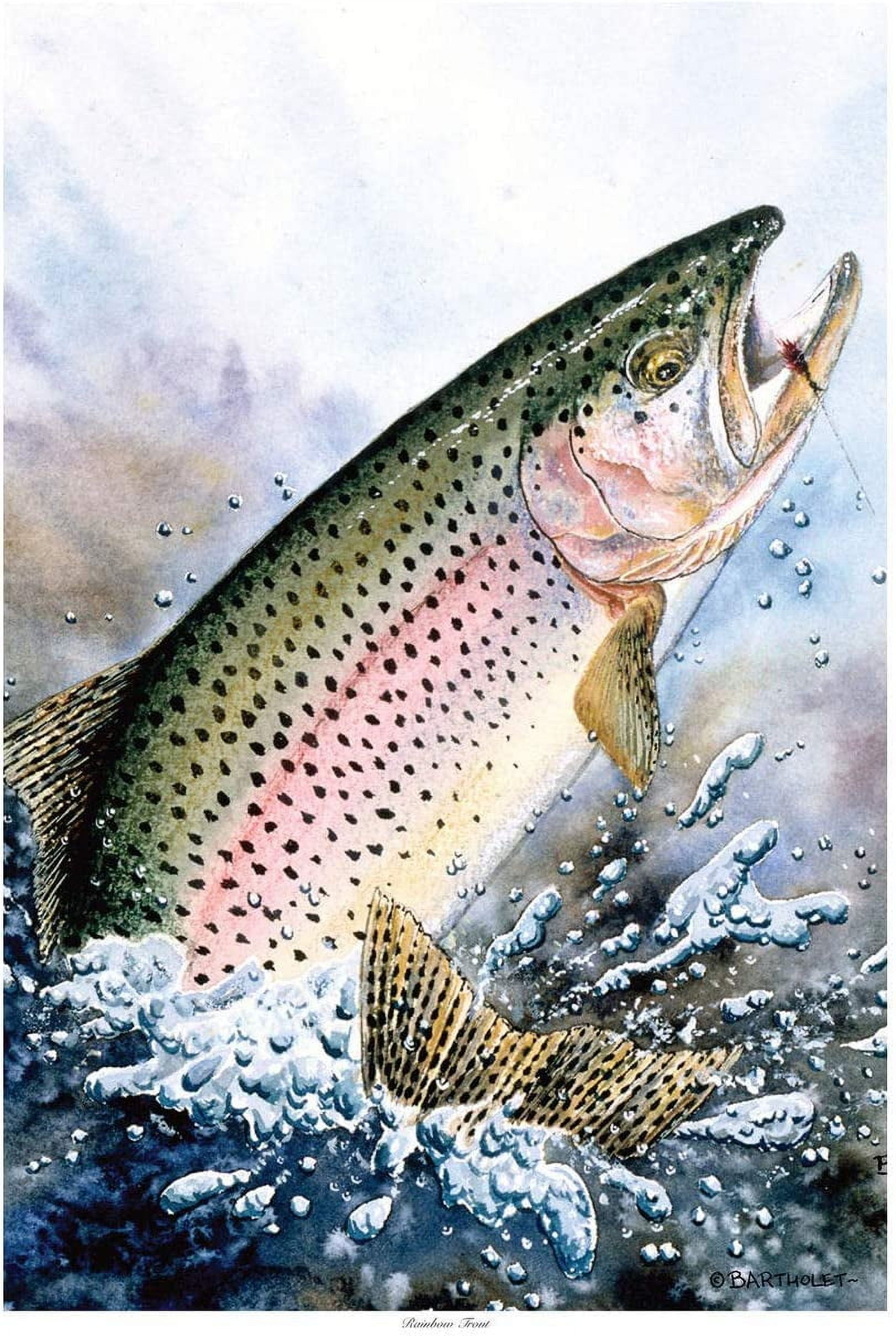 ADALE The - Fish Poster Rainbow Trout Decor, Giclee Art Print Poster ...
