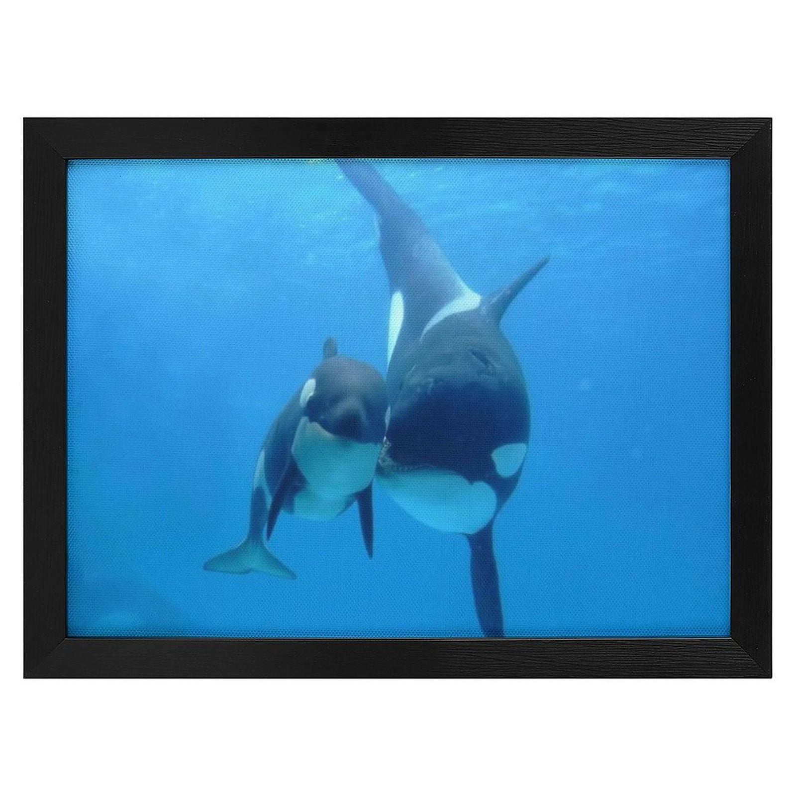 ADALE Fun Animal Wall Art Orca Killer Whale Under Sea Poster Canvas Art ...