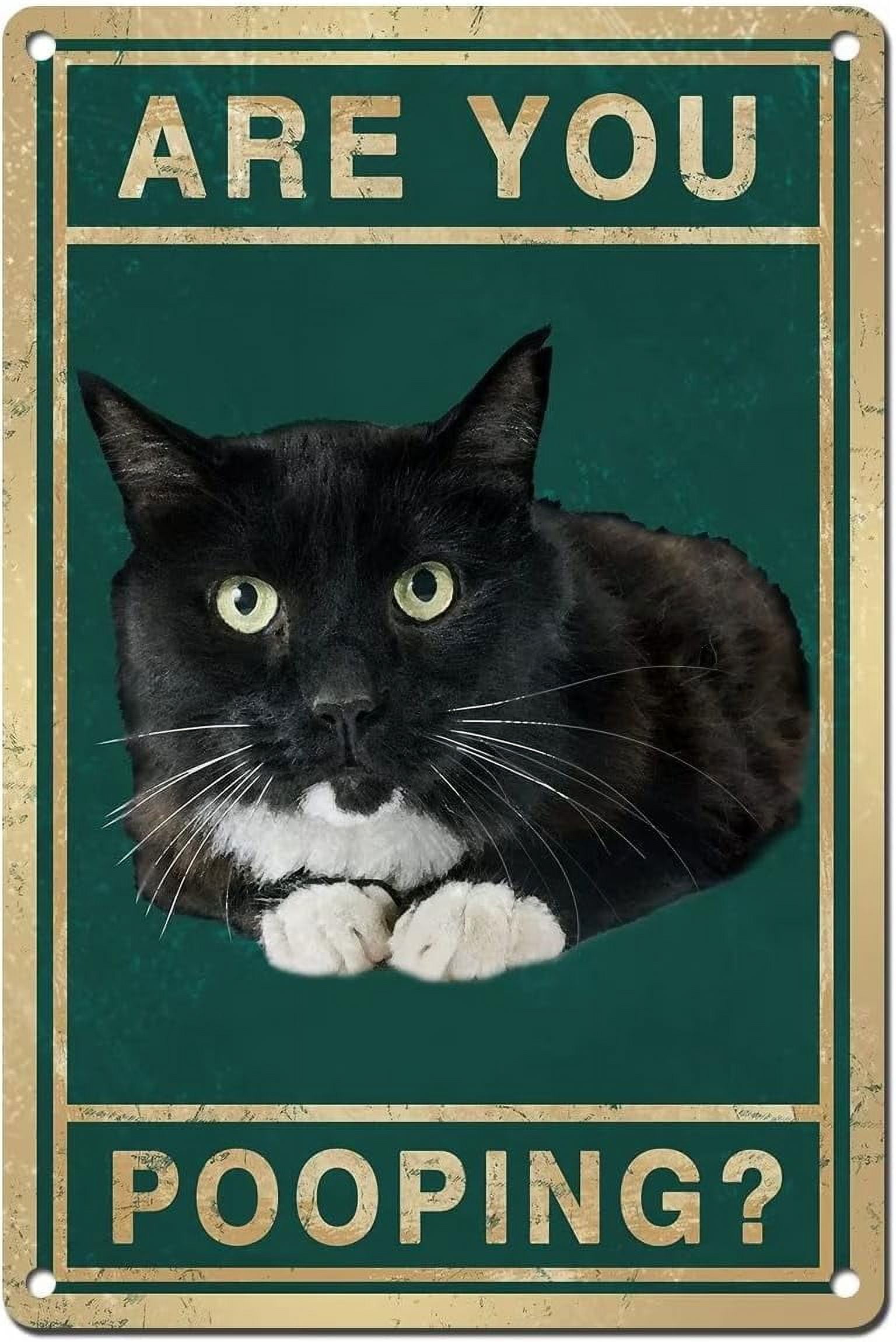 ADALE Funny Cat Bathroom Signs,Cute Restroom Retro Vintage Tin Metal ...