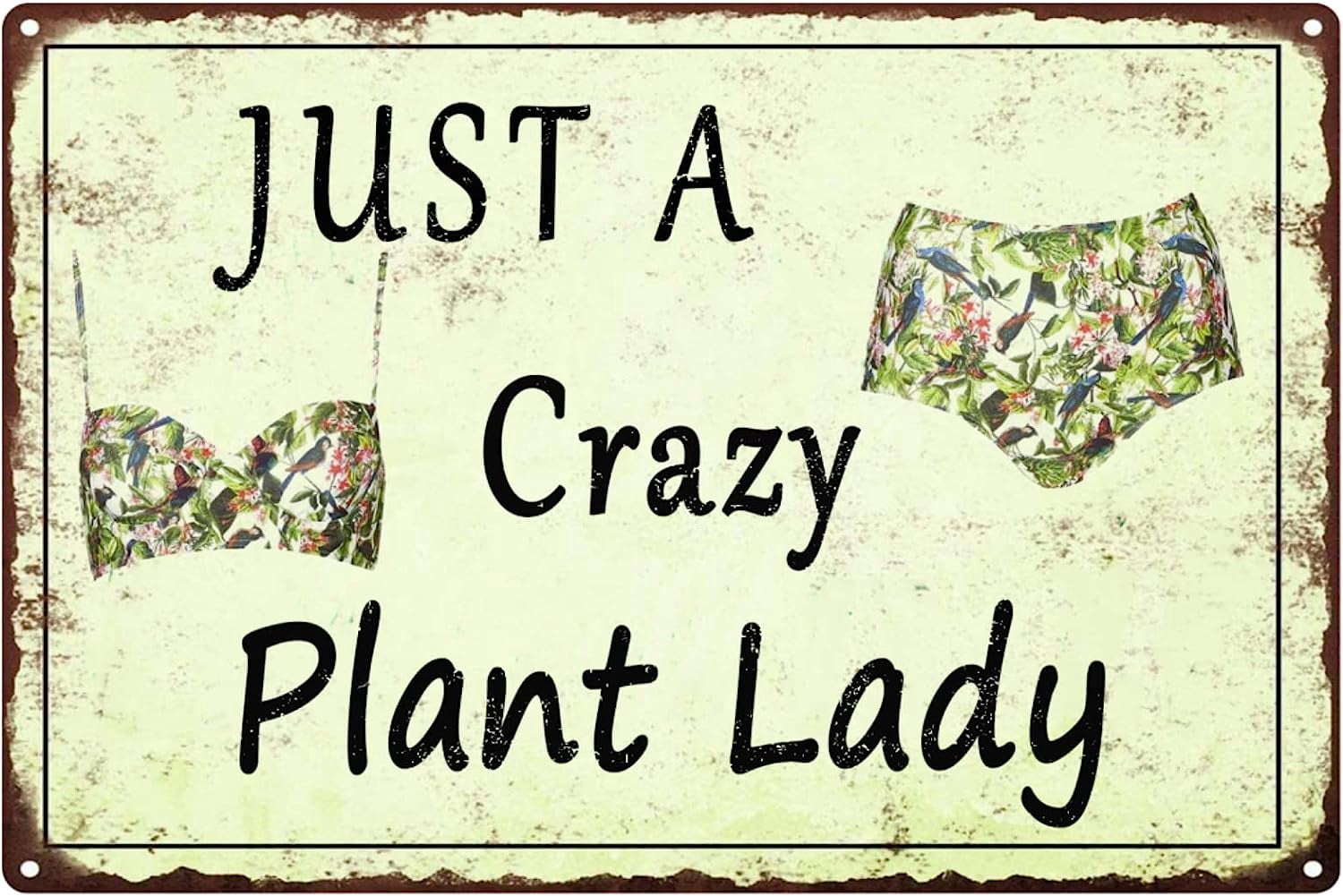 ADALE Funny Plant Signs Garden Decor Just A Crazy Plant Lady Tin Sign ...