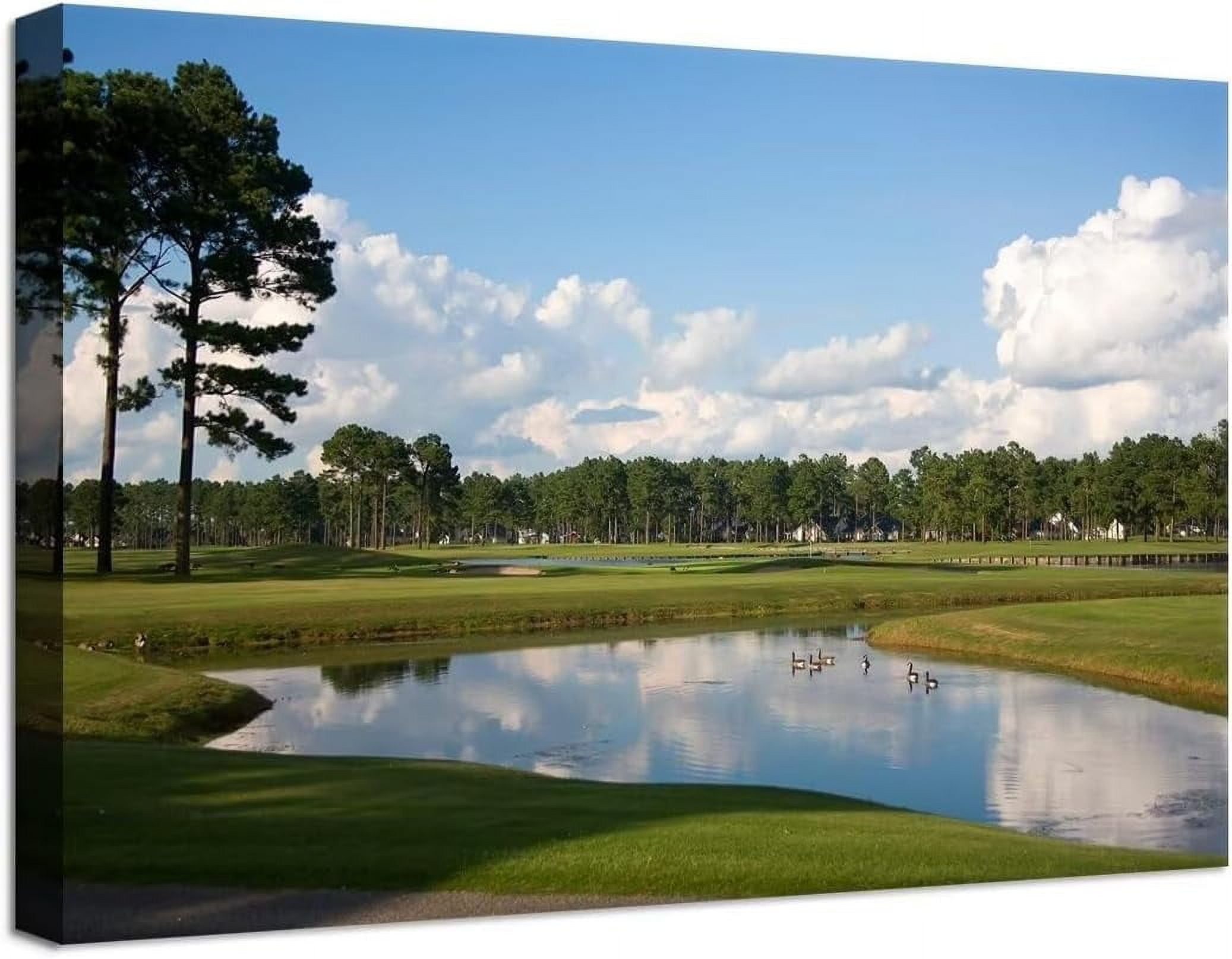 ADALE Golf Poster Wall Art Picture Golf Ball Sport Canvas Prints Wall ...